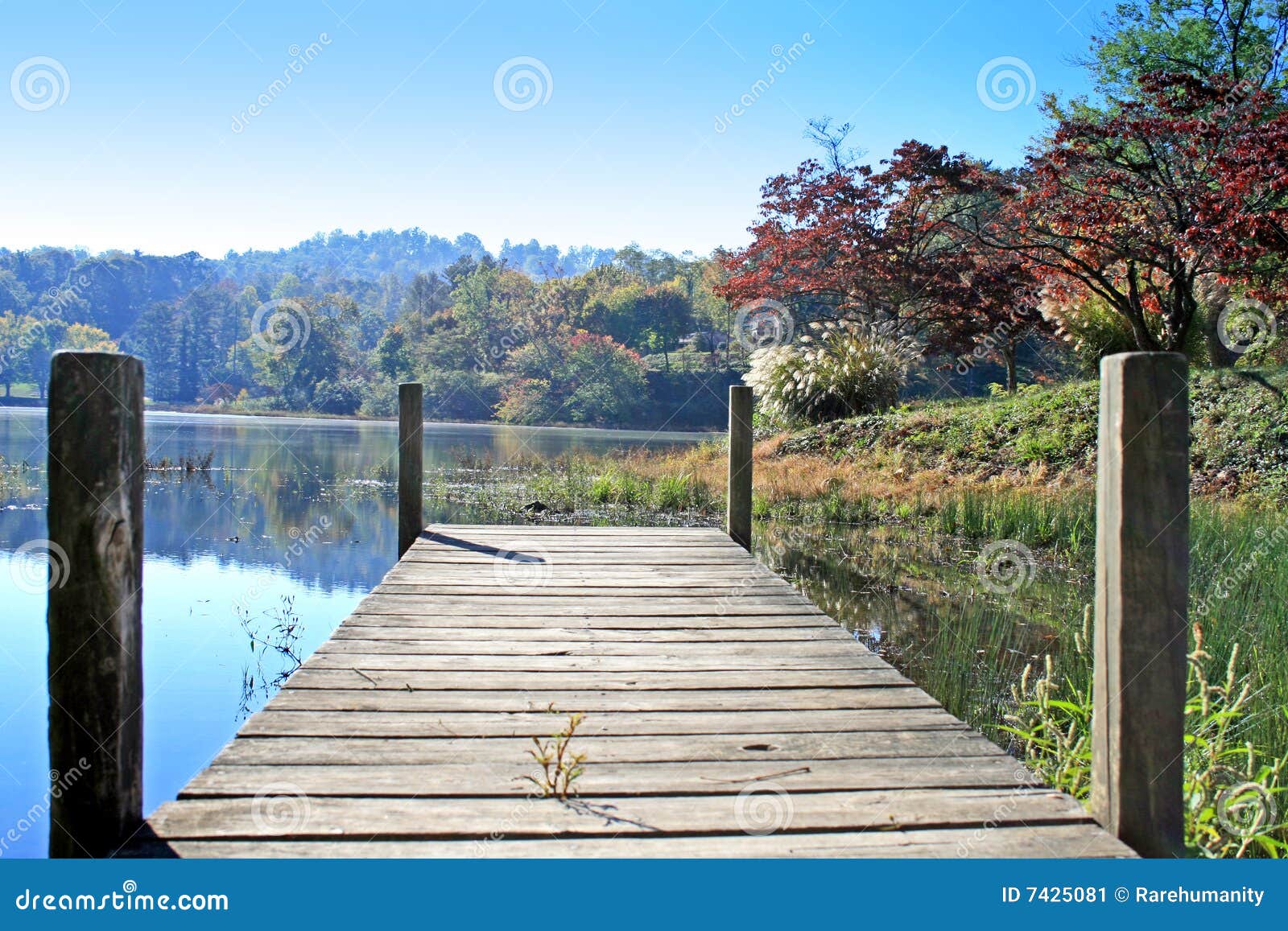 Wooden Dock in the Autumn stock image. Image of shore - 7425081