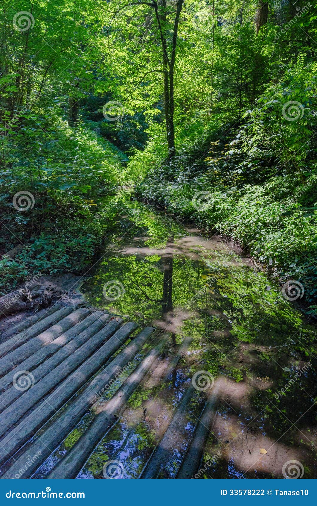 Wooden dock stock photo. Image of peaceful, nature, natural - 33578222