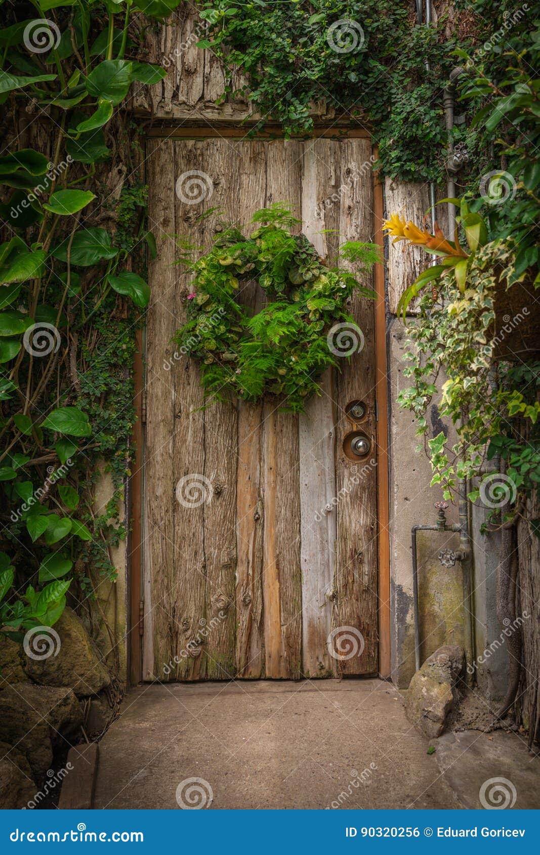 Wooden Door in an Old Cottage in the Forest Stock Photo - Image of ...