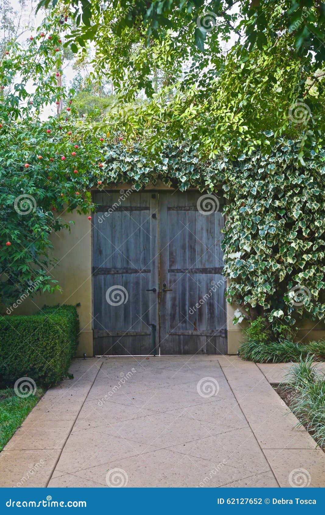 Wooden doors stock photo. Image of path, architecture - 62127652