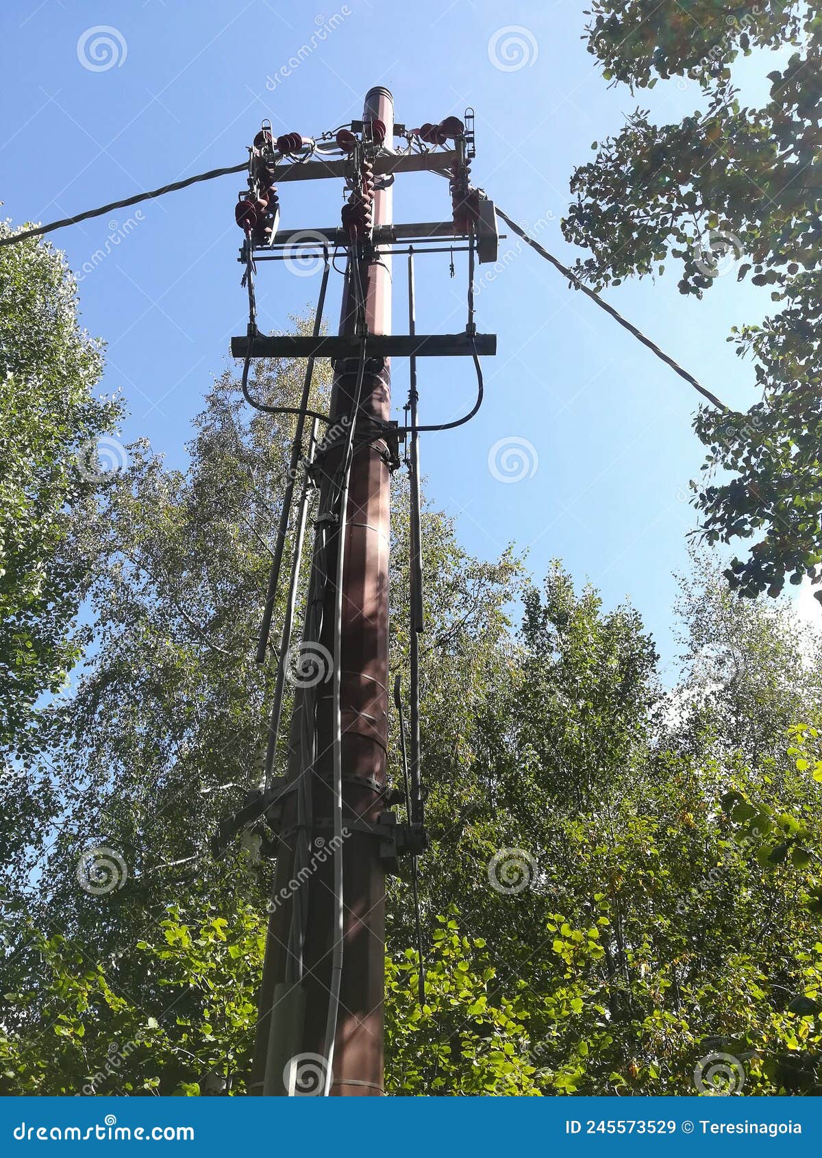 Wooden electrical pole stock image. Image of electrical - 245573529