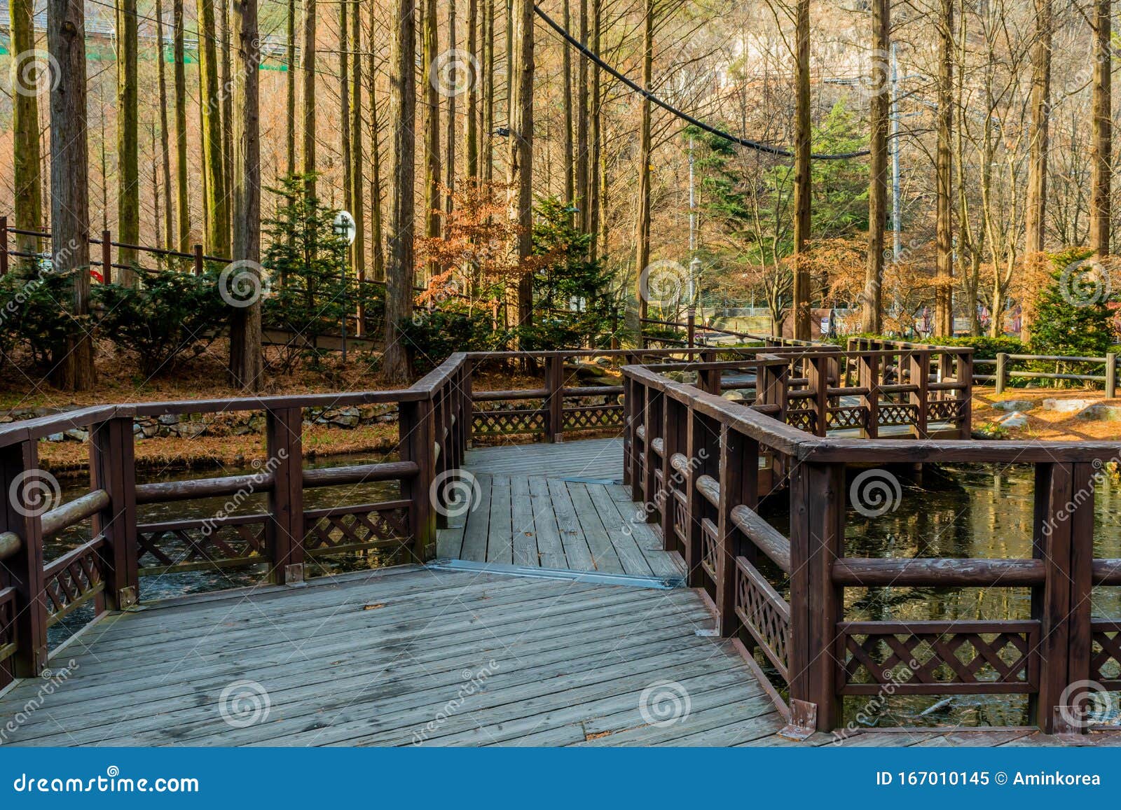 Wooden Elevated Pathway In Woodland Nature Park Stock Image ...