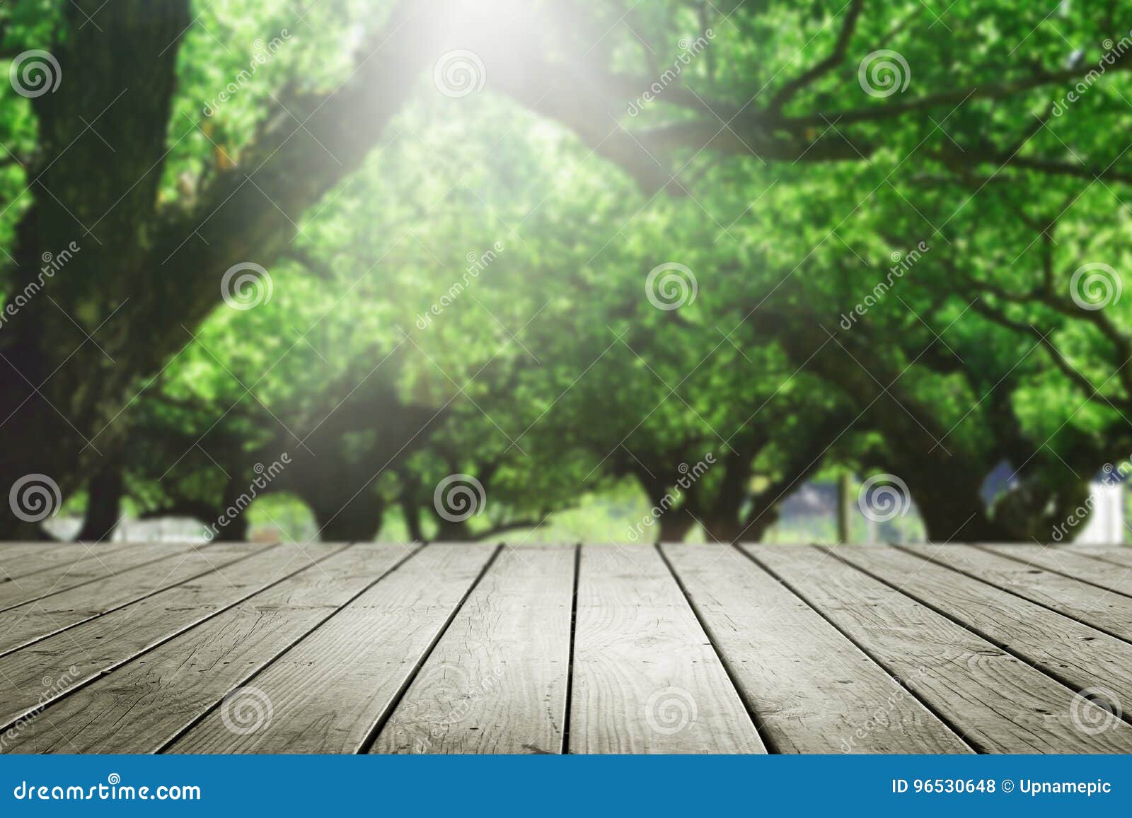 Wooden Empty and Blur Forest Background. Stock Photo - Image of table ...