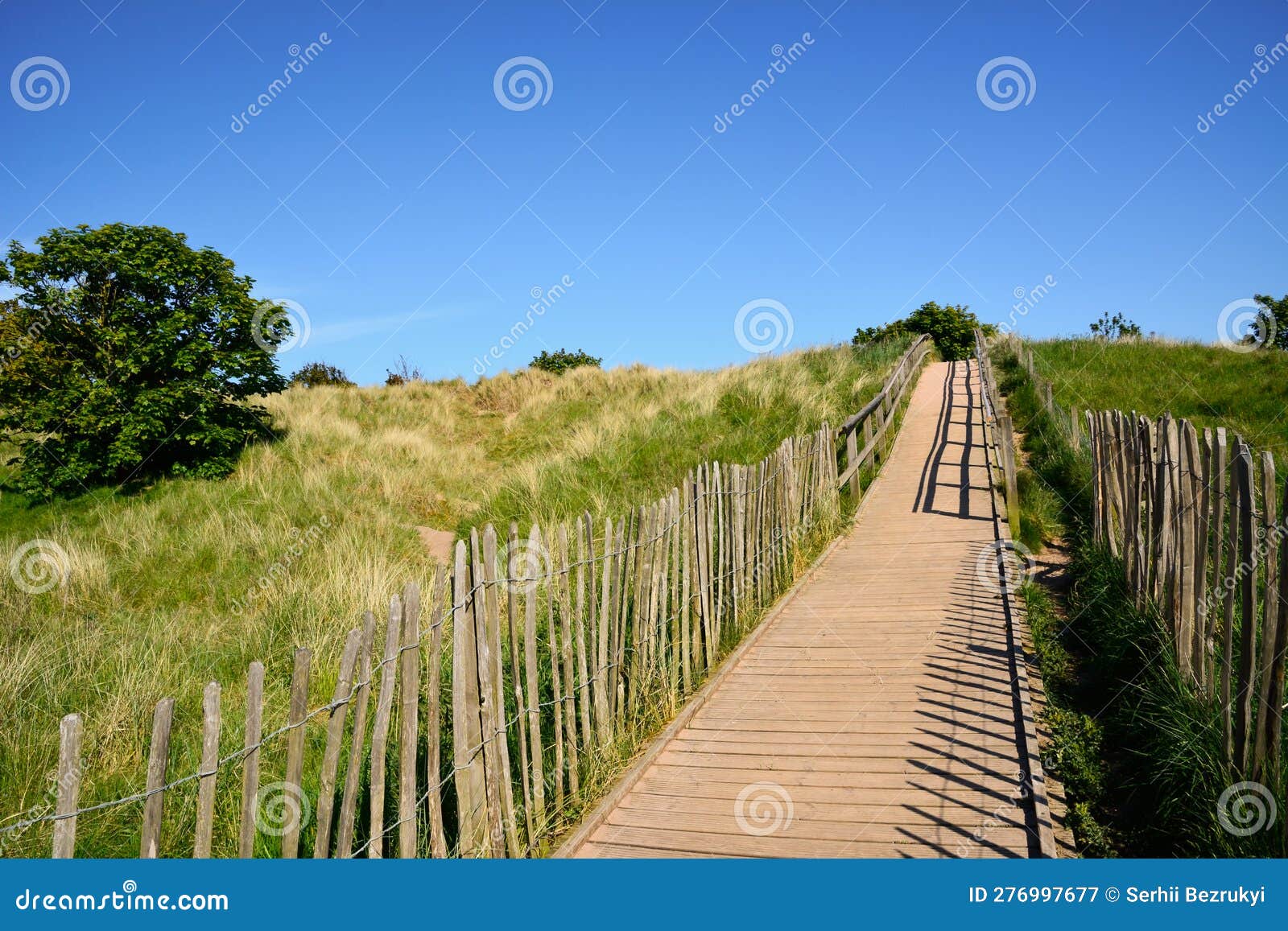 Wooden Empty Path Up the Hill with Handmade Railing in Perspective ...