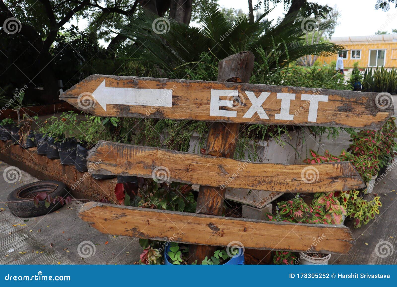 Wooden Exit Sign Board Showing Direction Stock Photo - Image of green ...