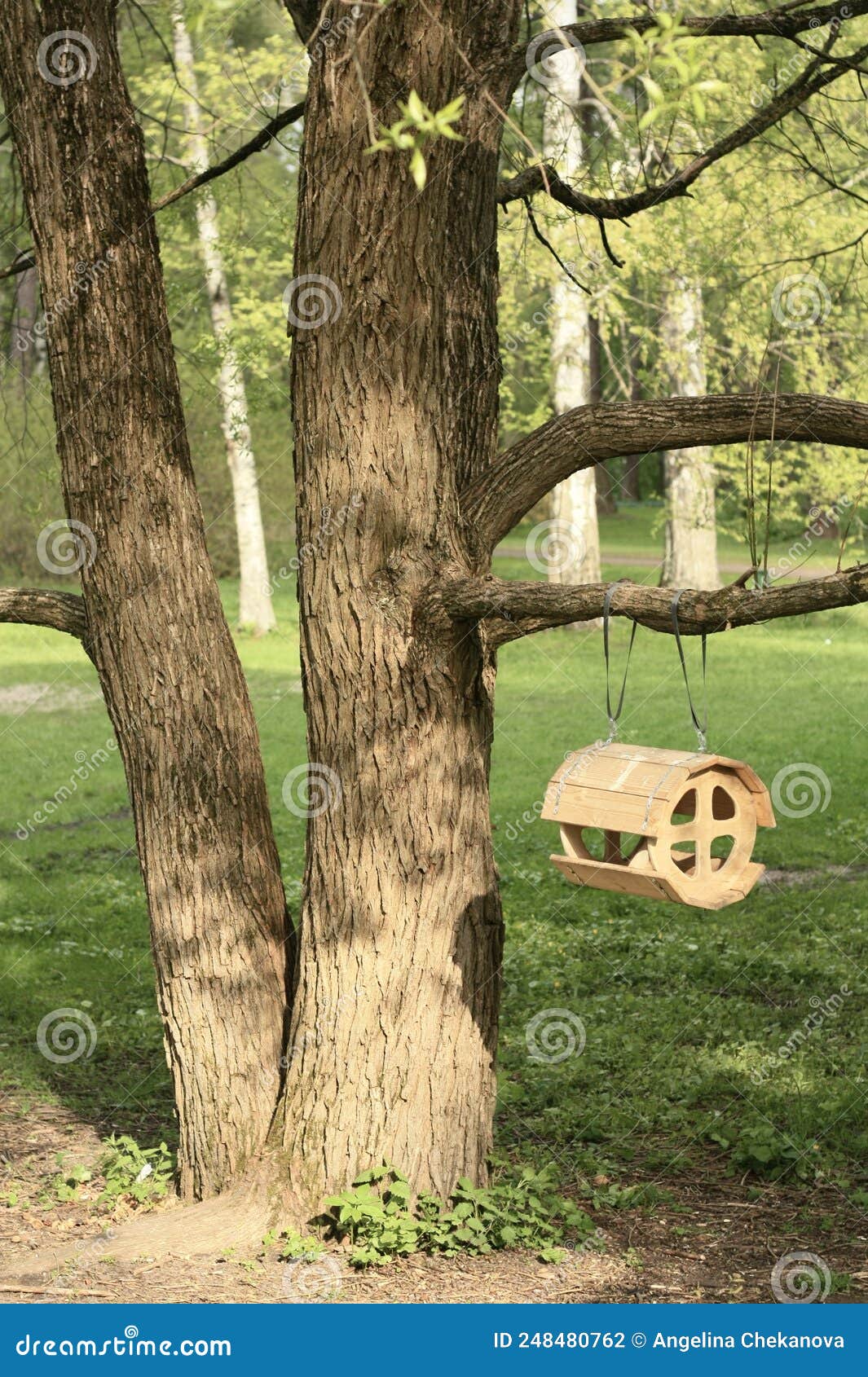 Wooden Feeder Or Manger For Wild Animals In The Forest. Feeding Trough ...