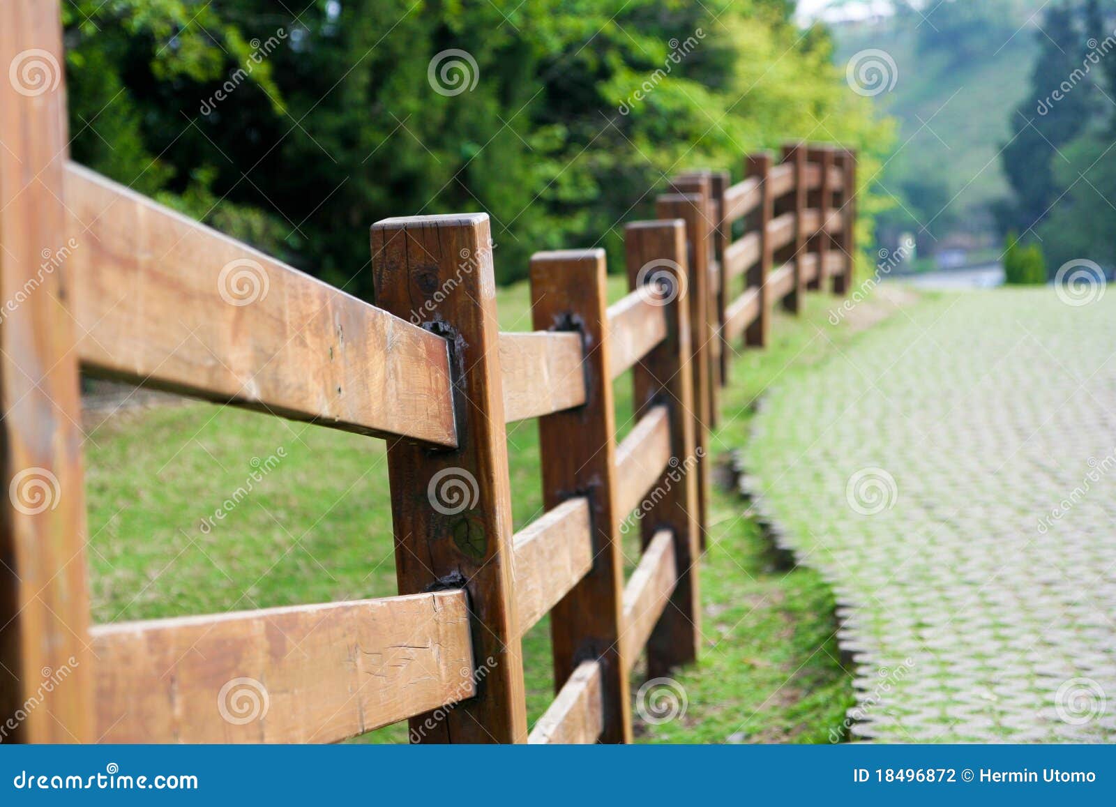 Wooden Fence stock photo. Image of pleasant, nature, stroll - 18496872