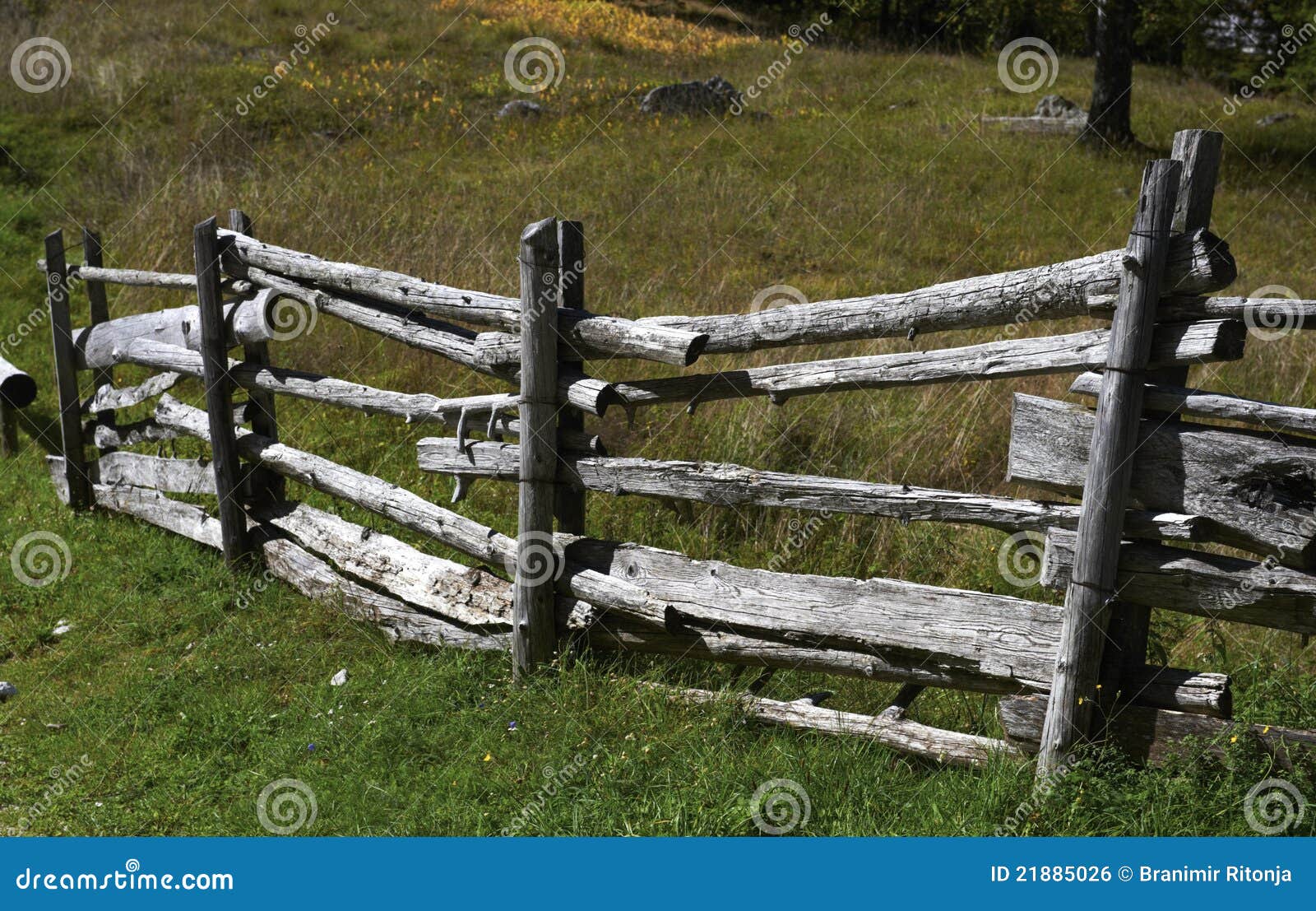 Wooden fence for animals stock photo. Image of field - 21885026