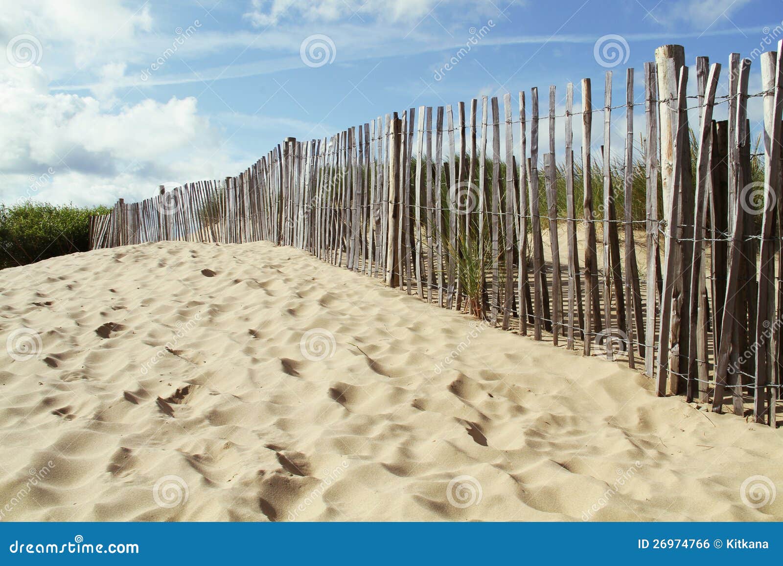 Wooden fence on a beach stock photo. Image of looking - 26974766