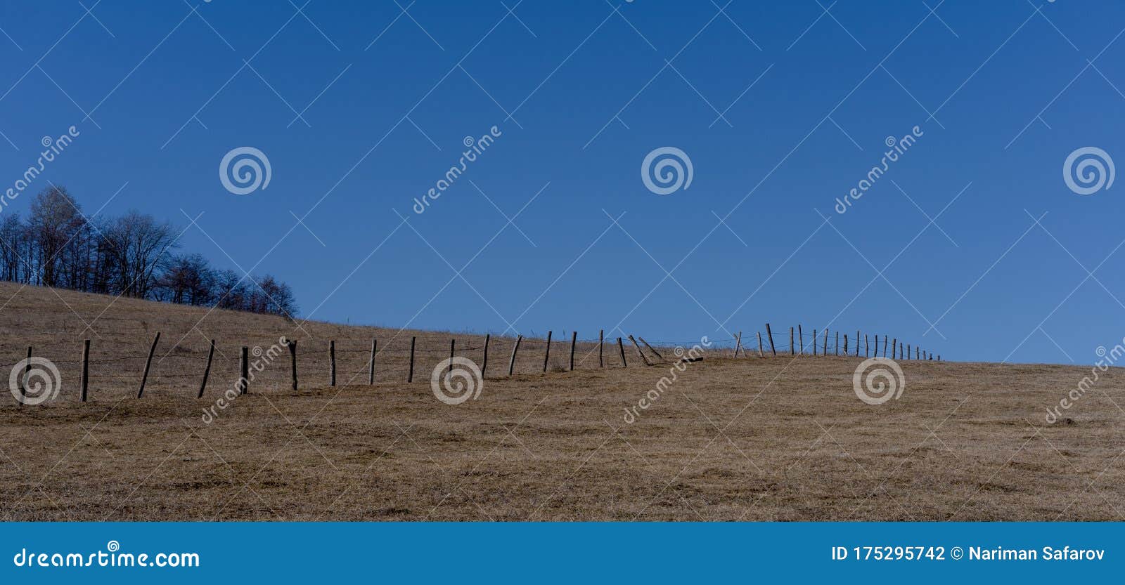 Wooden fence in the field stock photo. Image of pasture - 175295742