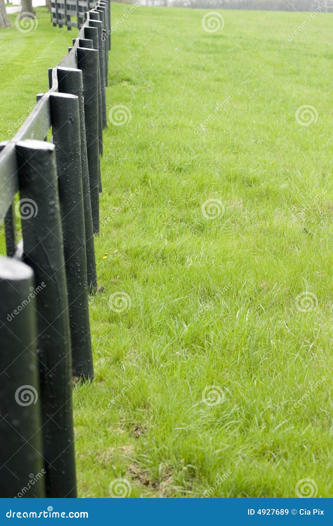 Wooden fence on field stock image. Image of agriculture - 4927689