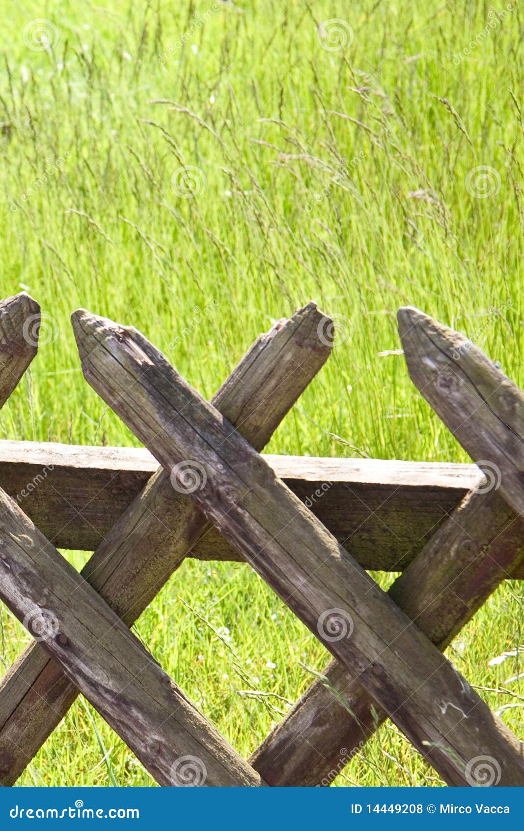 Wooden fence on the grass stock photo. Image of agriculture - 14449208