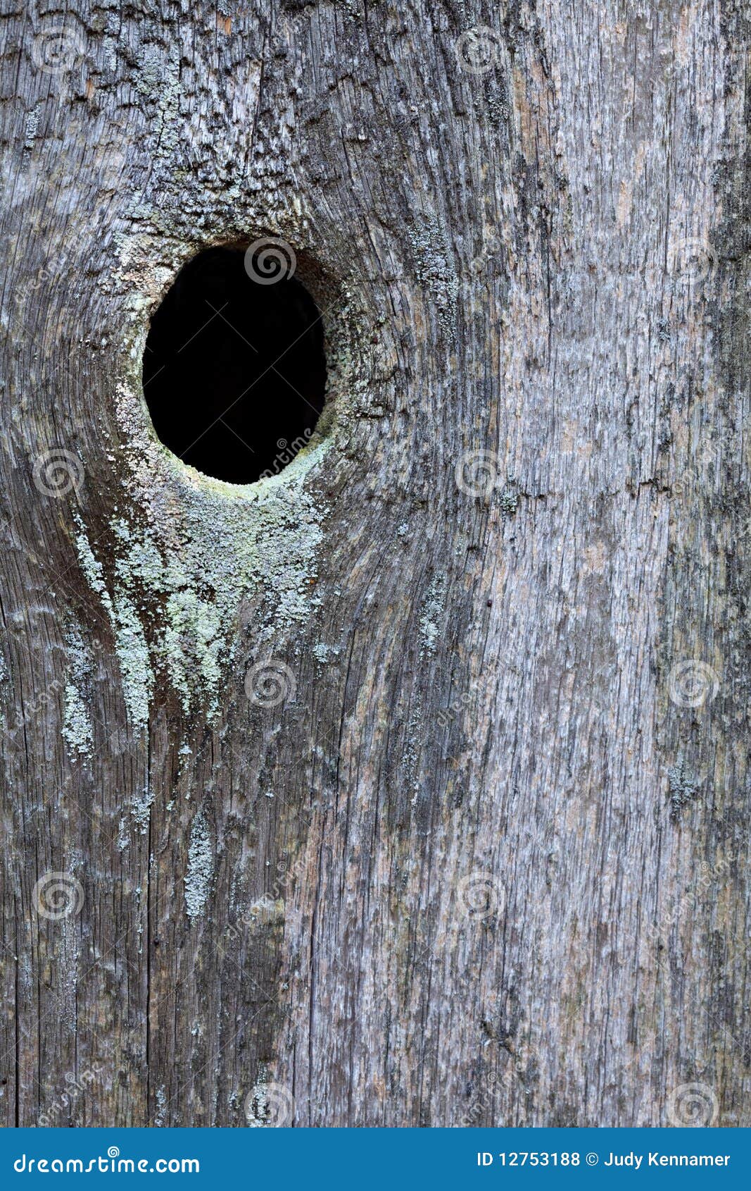 Wooden fence with knothole stock photo. Image of natural - 12753188