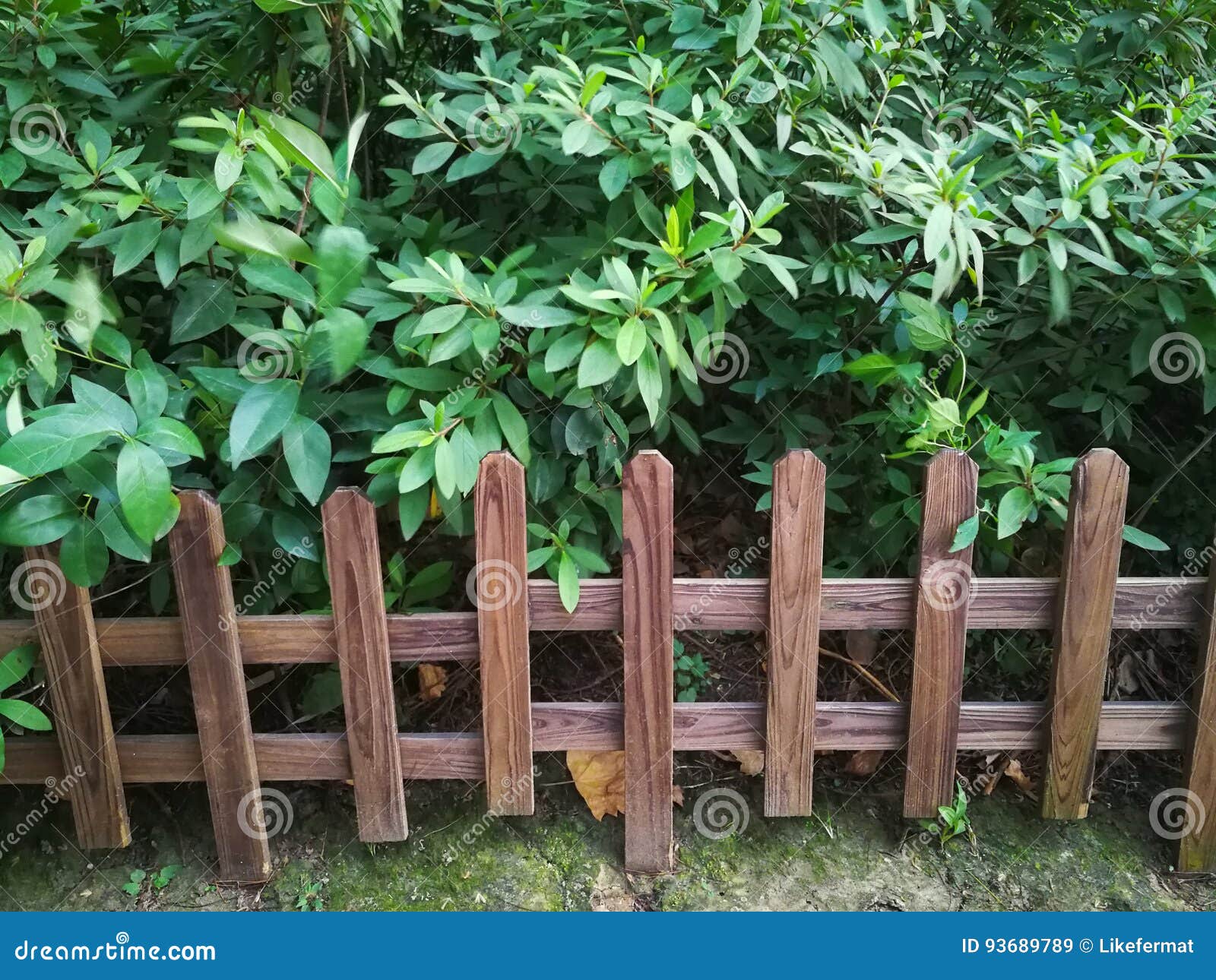 Wooden fence stock image. Image of park, wooden, fence - 93689789