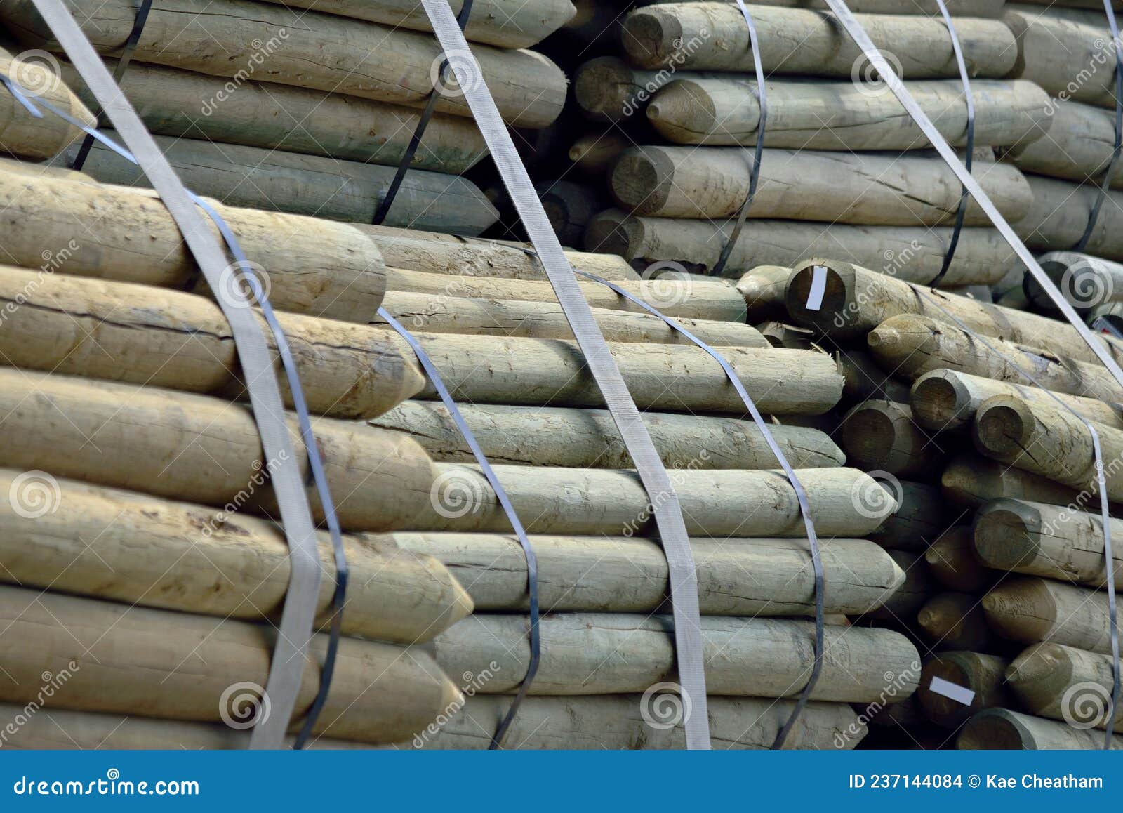 Wooden Fence Posts Bundled for Transport Stock Photo - Image of ...