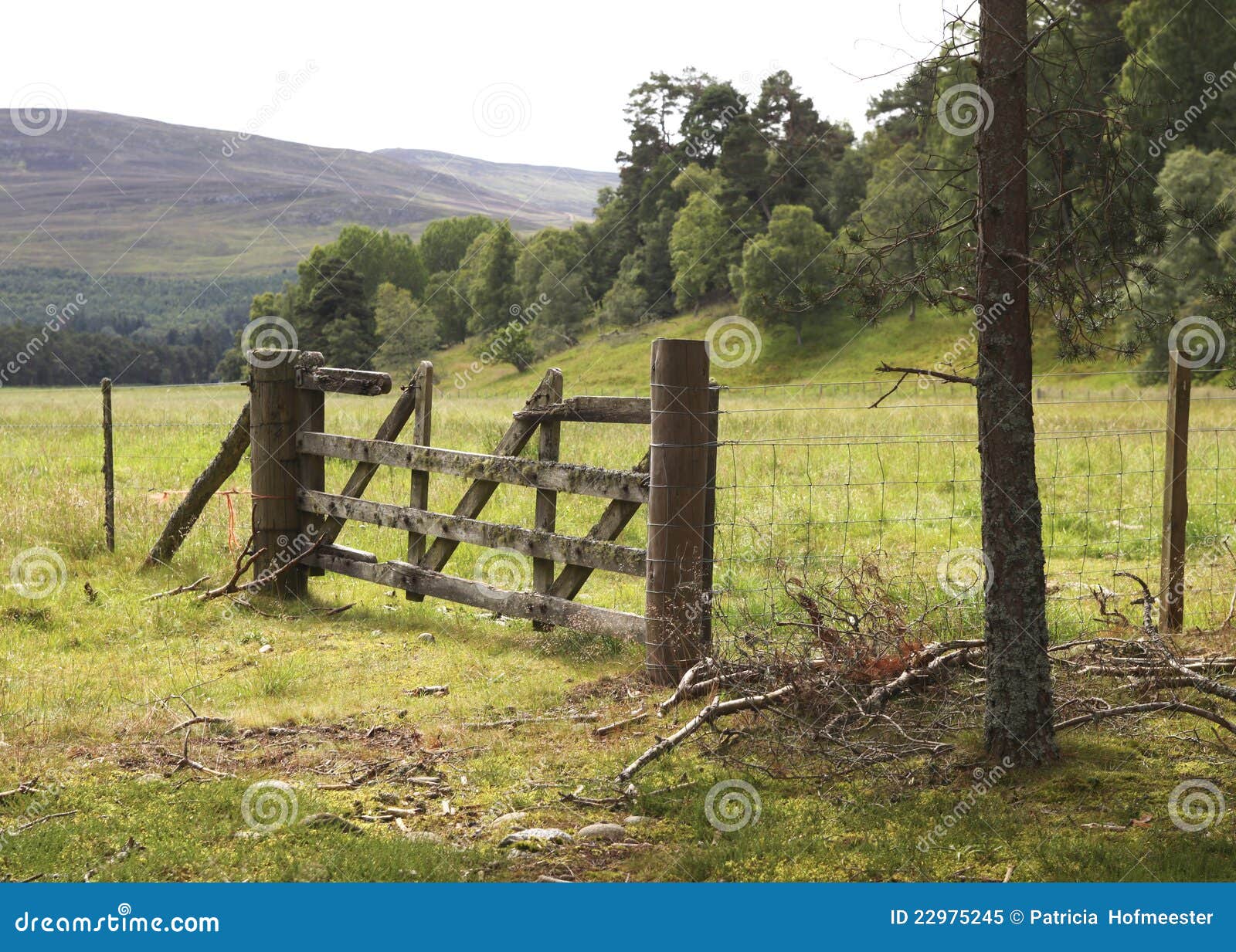 Wooden fence in Scotland stock image. Image of hill, outdoors - 22975245