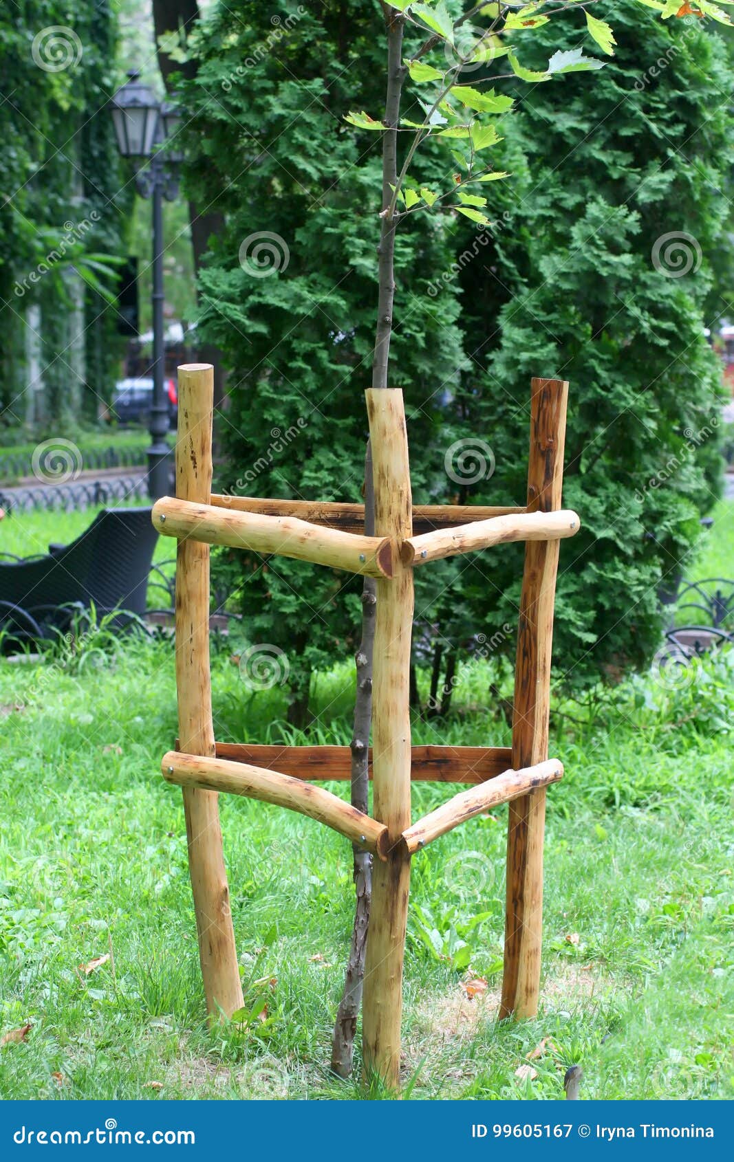 Wooden Fences for Trees. Support for Wood Stock Image - Image of ...