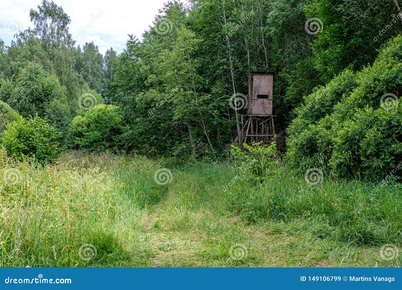 Wooden Fire Watchtower Construction Details Stock Image - Image of ...