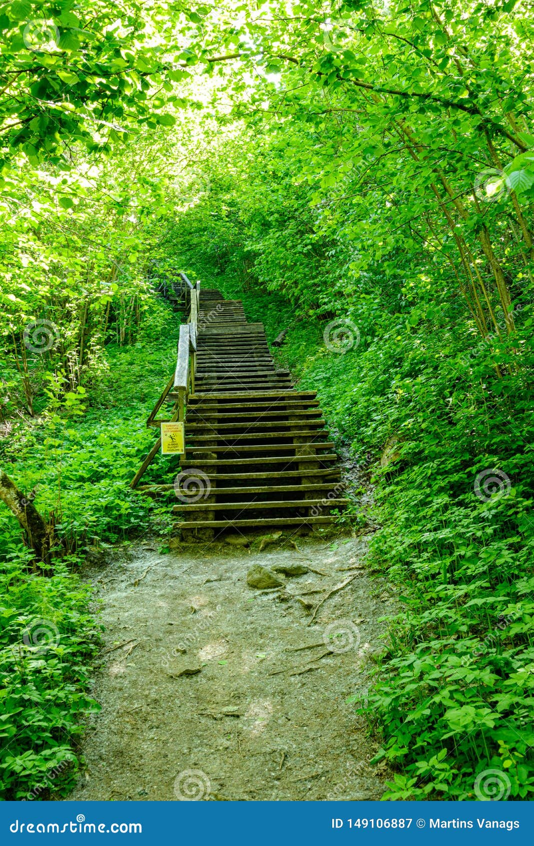 Wooden Fire Watchtower Construction Details Stock Image - Image of ...