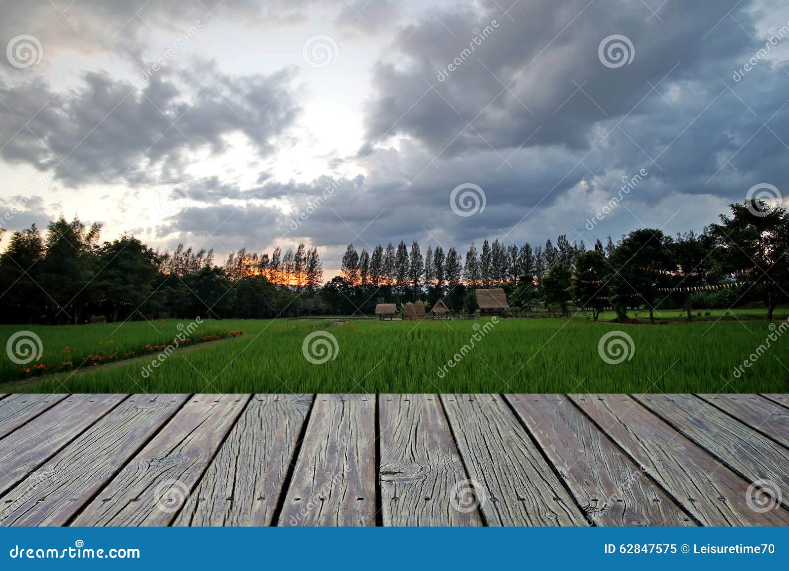 Wooden Floor with Paddy Field Background Stock Image - Image of ...