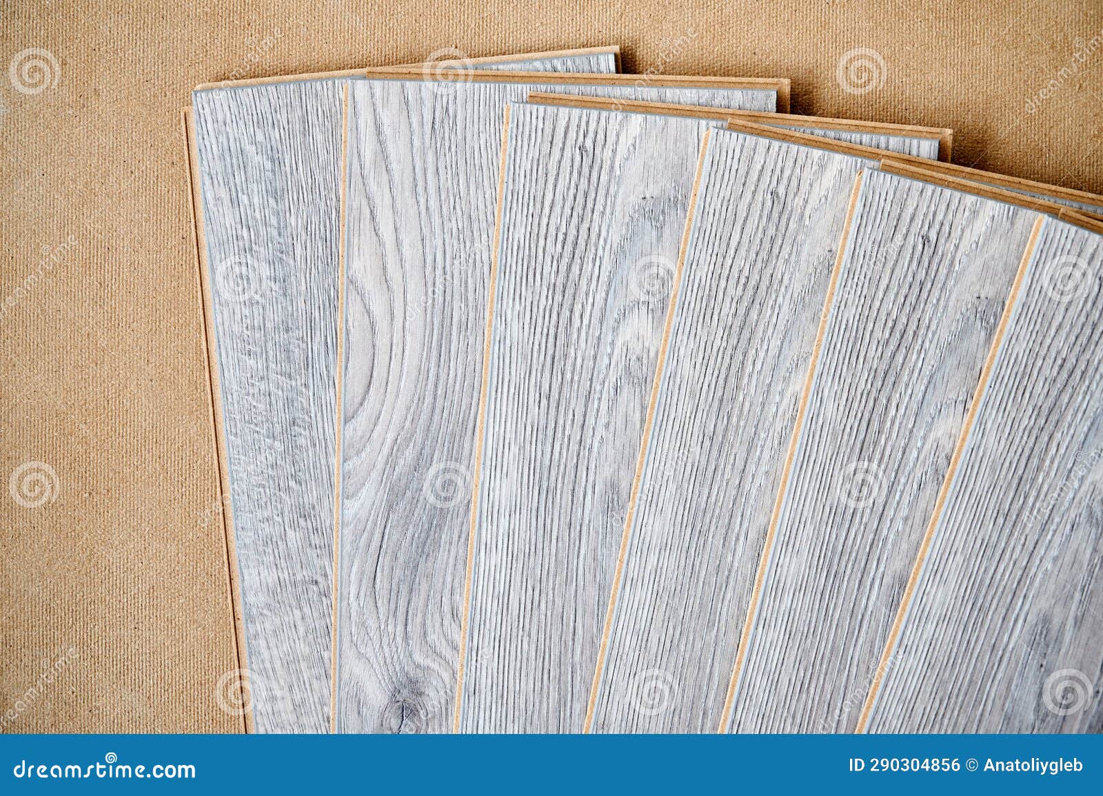 Samples of Laminate Wooden Planks on the Floor. Stock Photo - Image of ...