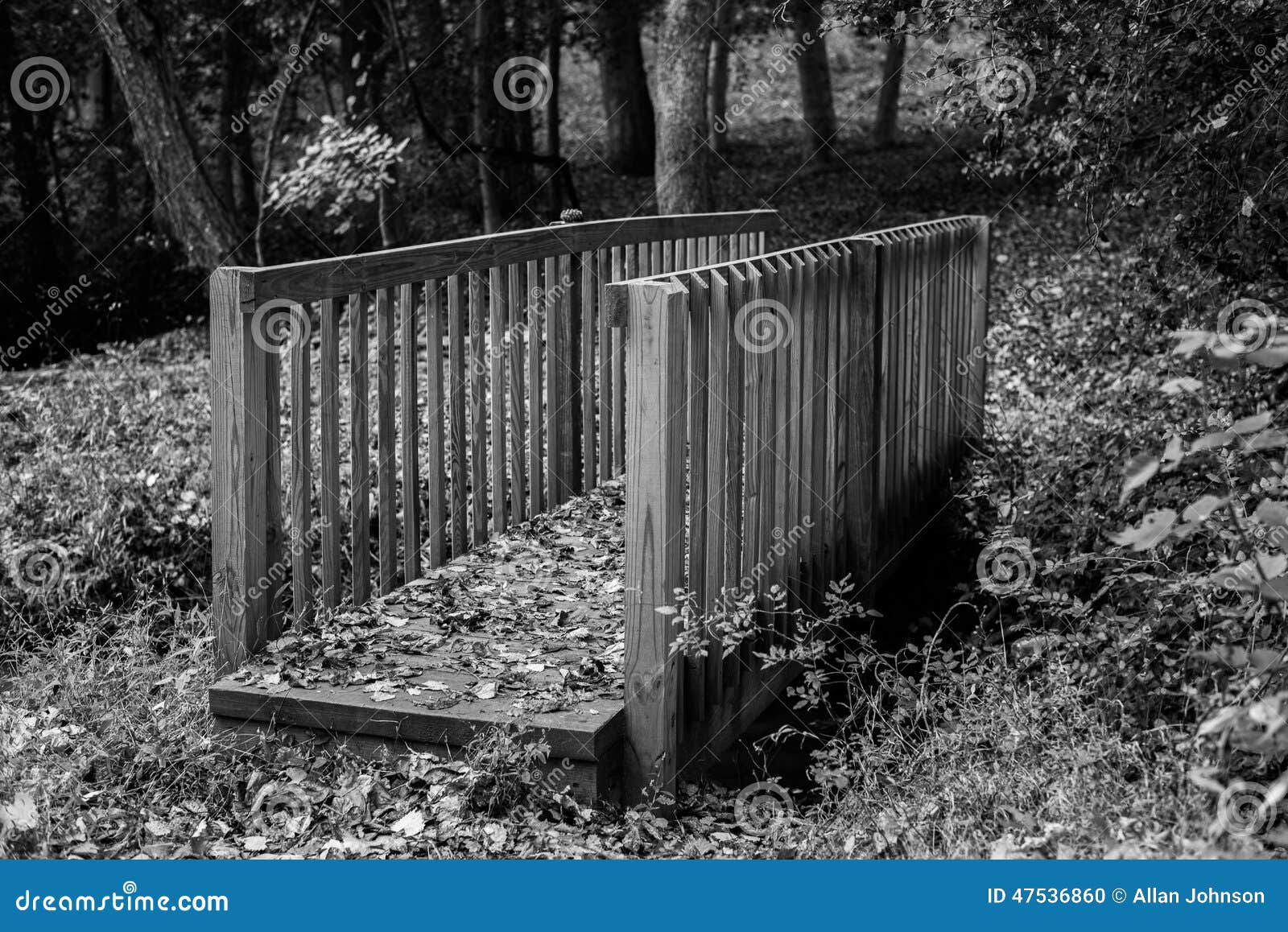 Wooden Foot Bridge stock photo. Image of golden, leaves - 47536860