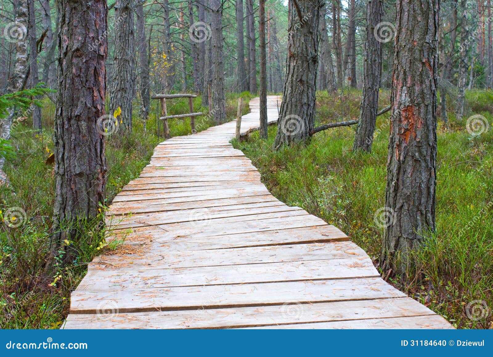 Wooden foot bridge stock photo. Image of foliage, exterior - 31184640