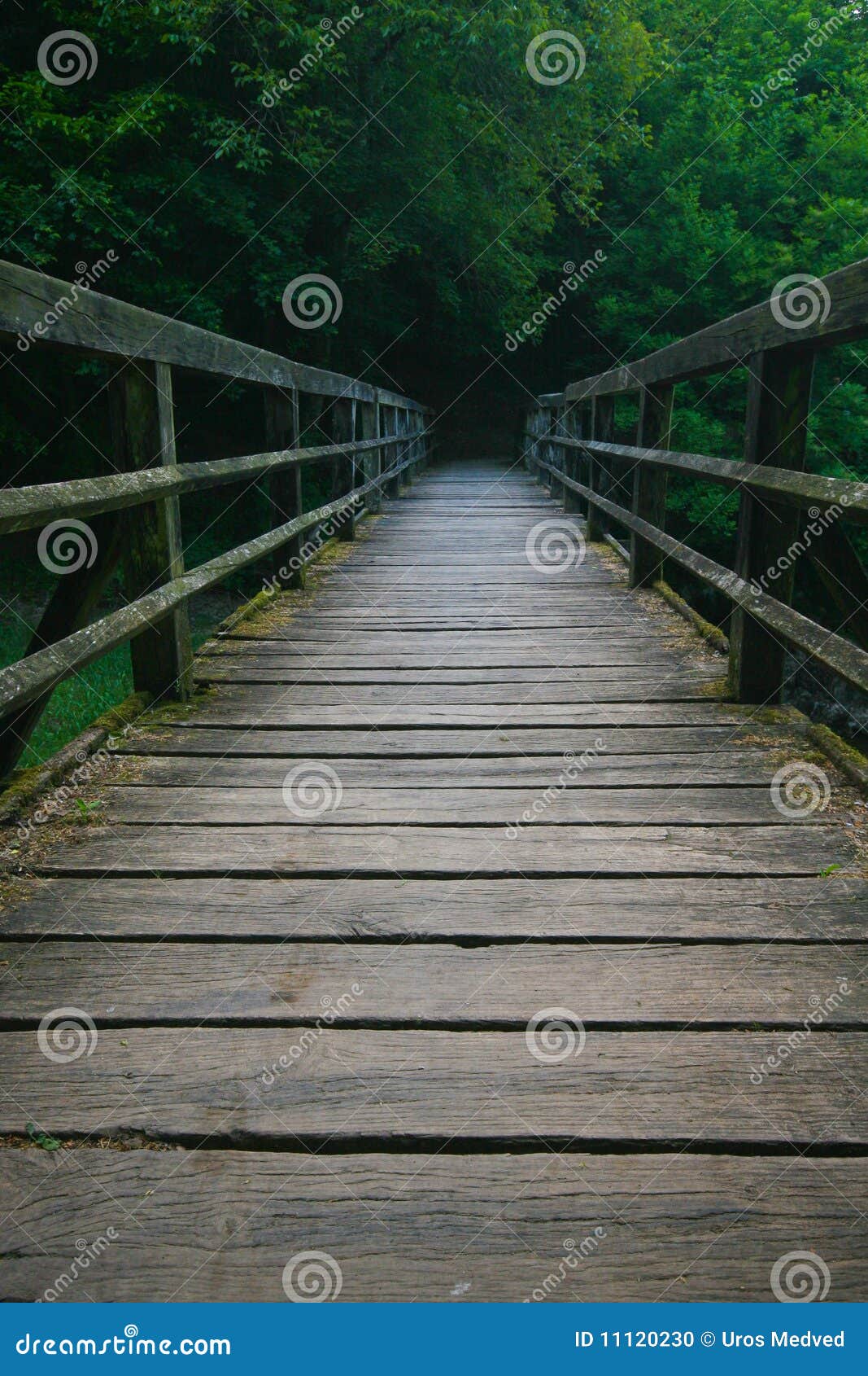 Wooden footbridge stock photo. Image of cross, hiking - 11120230
