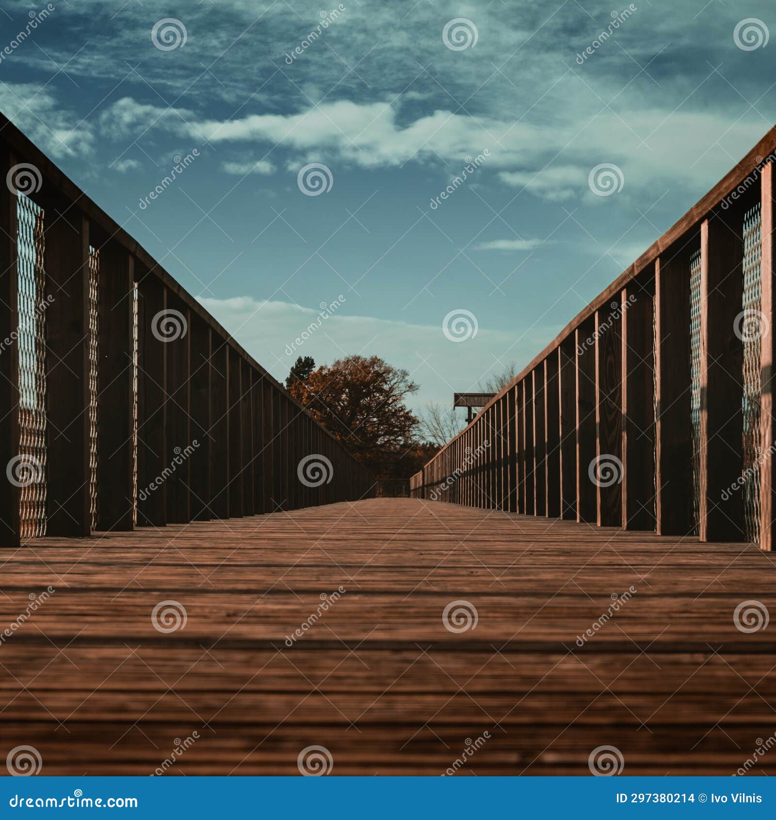 Wooden Footbridge Crossing a Marsh Stock Photo - Image of symmetry ...