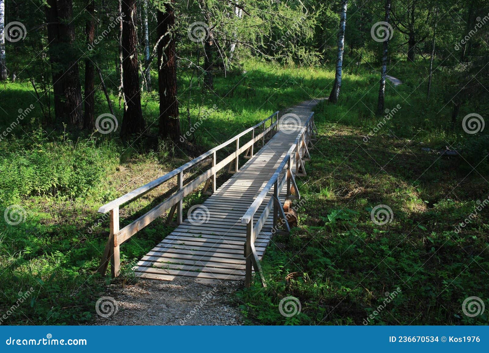Wooden Footbridge in the Forest Stock Photo - Image of journey, bridge ...