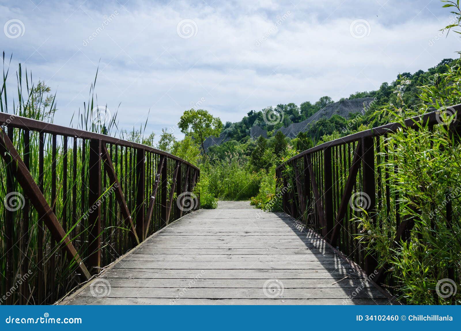 Wooden Footbridge in a Nature Conservancy Area Stock Photo - Image of ...