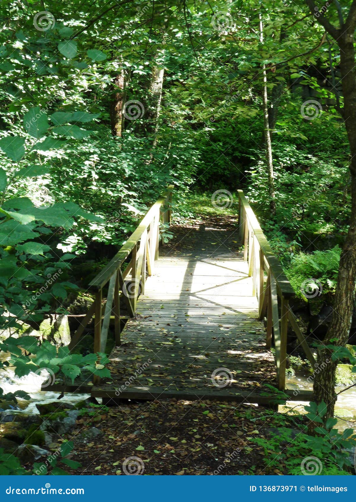 Wooden Footbridge Over a Stream in the Forest Stock Image - Image of ...