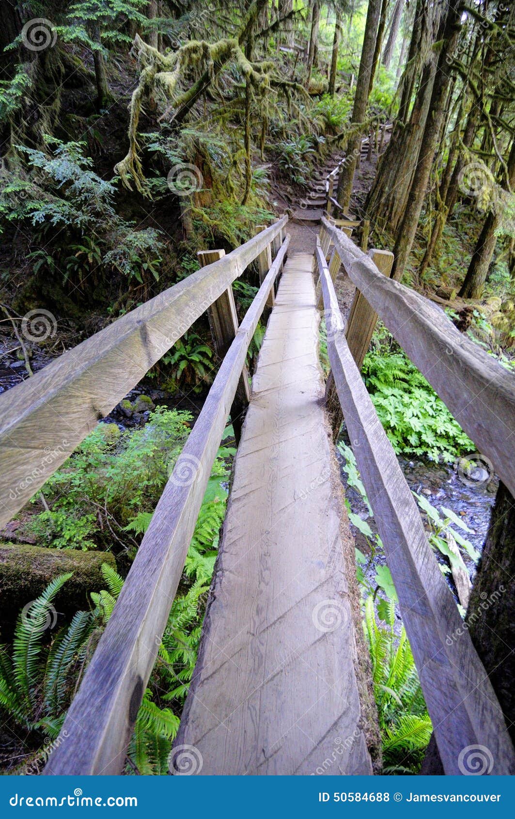 Wooden Footbridge in a Park Stock Photo - Image of steps, plank: 50584688