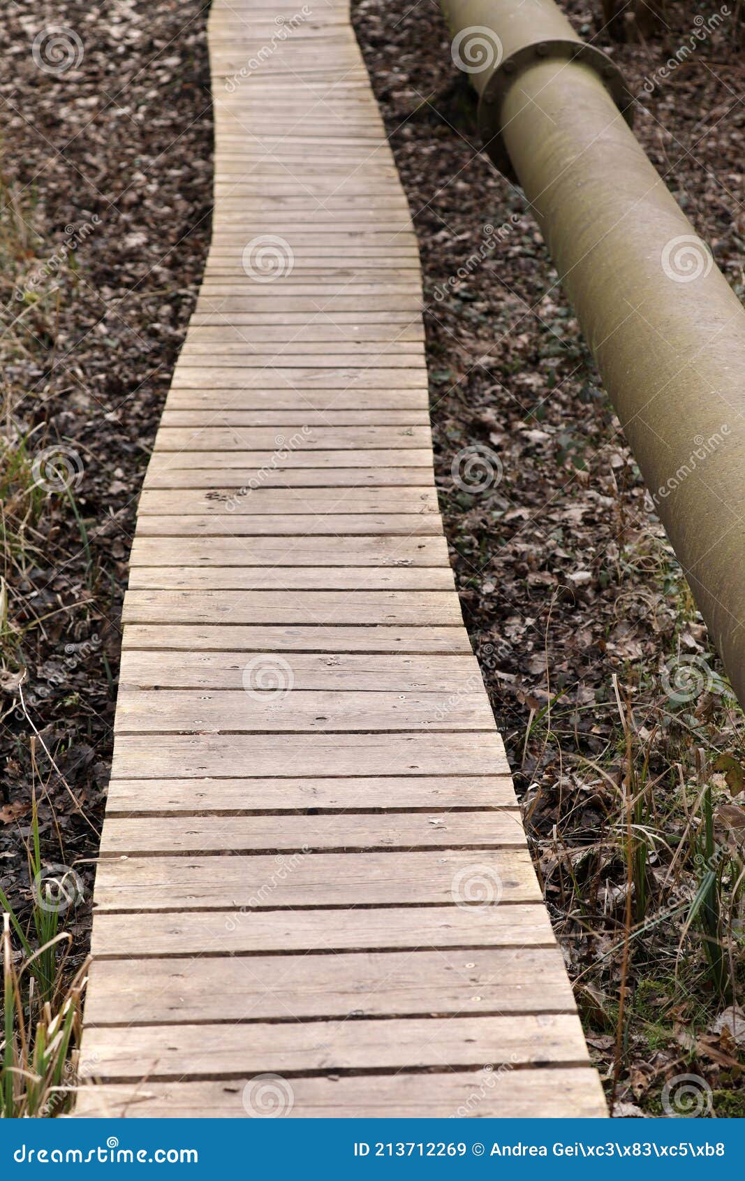 Wooden Footbridge Wooden Path Bridge Stock Image - Image of beach ...