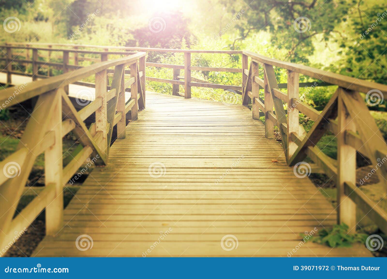 Wooden Footbridge in a Wood Stock Photo - Image of flare, rural: 39071972