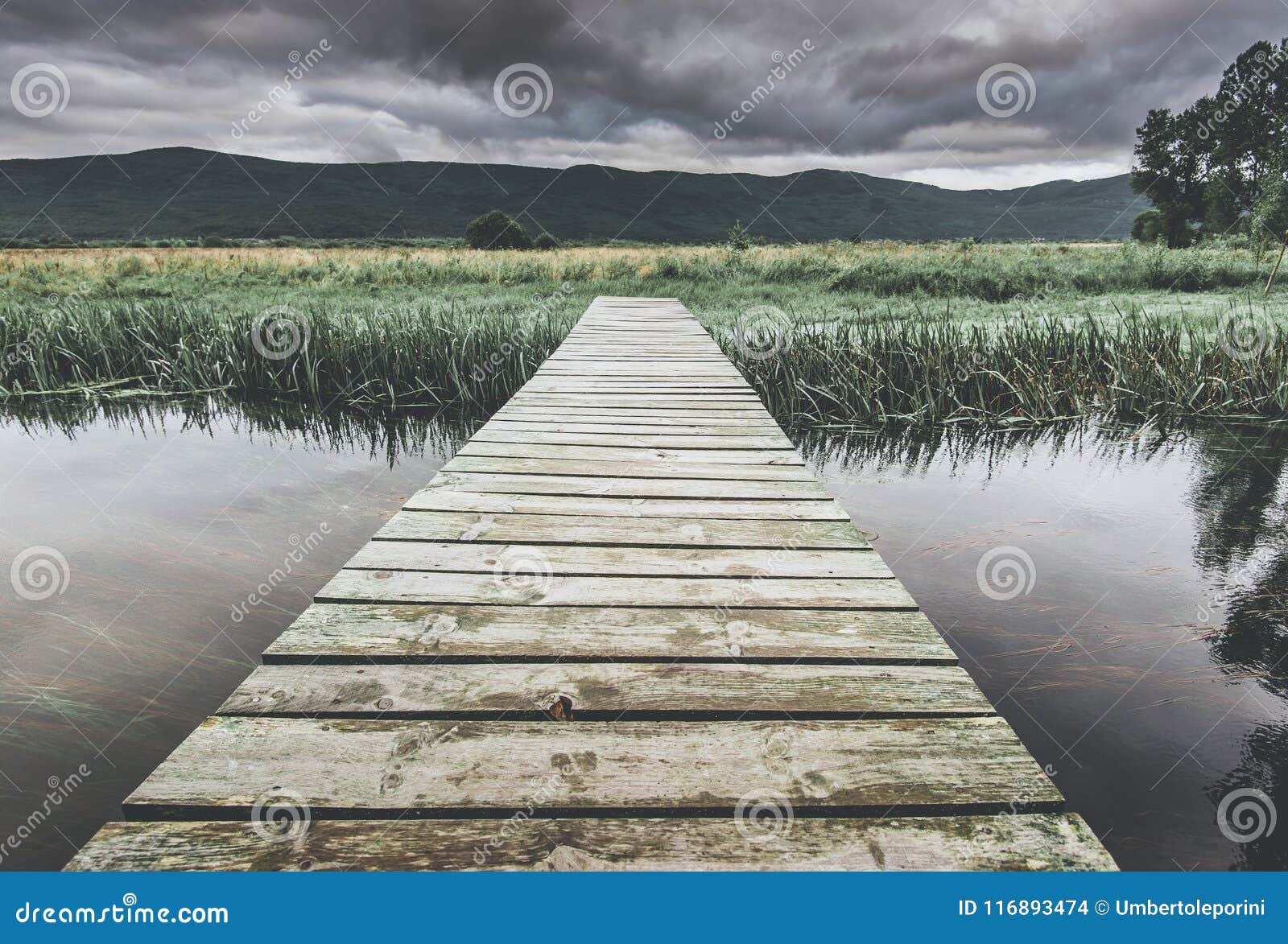 Footpath Bridge Over the River Stock Photo - Image of outdoors ...