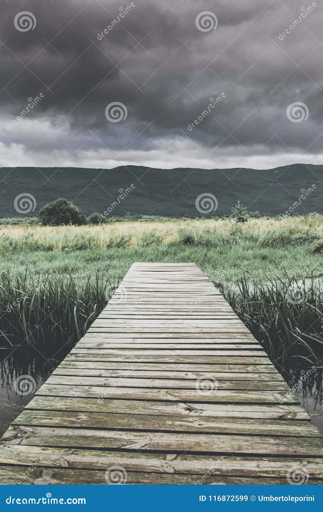 Footpath Bridge Over the River Stock Image - Image of away, moody ...