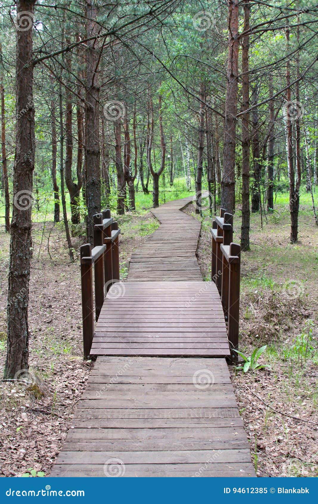 Wooden footpath stock image. Image of footbridge, wood - 94612385