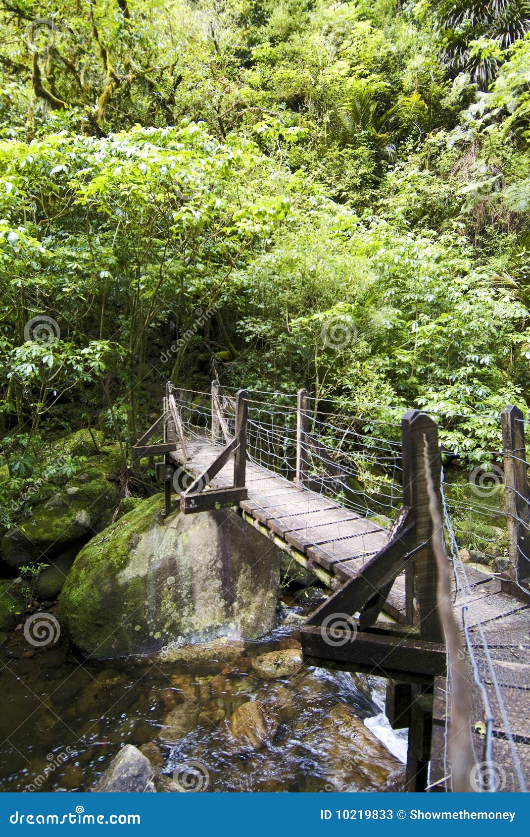 Wooden Footpath Over Bridge Stock Image - Image of vertical, dirty ...