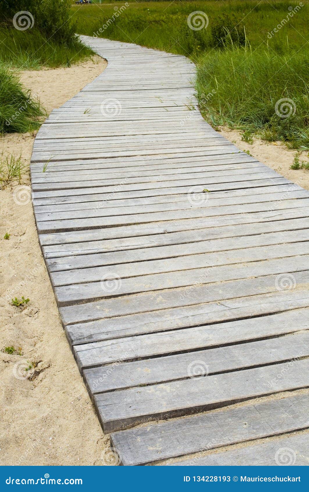 Wooden Footpath Trough the Dunes at the Beach Stock Image - Image of ...