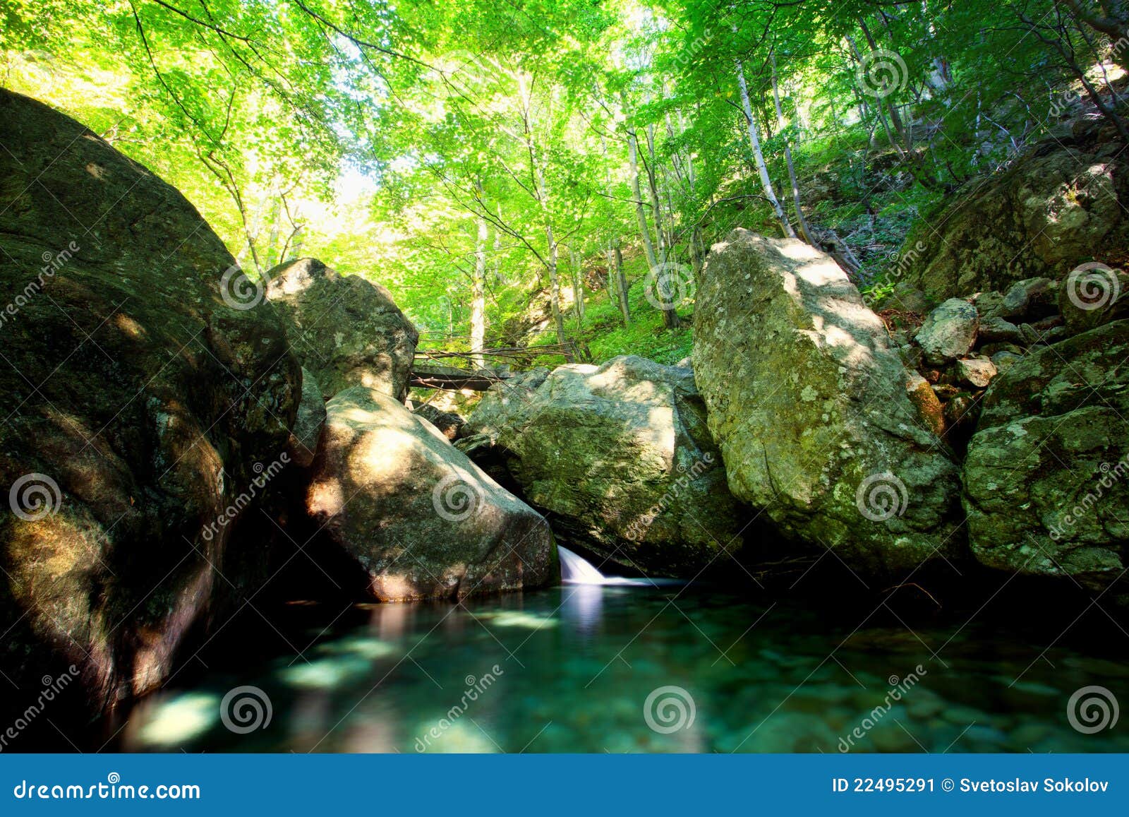 Wooden forest pool stock image. Image of water, nature - 22495291