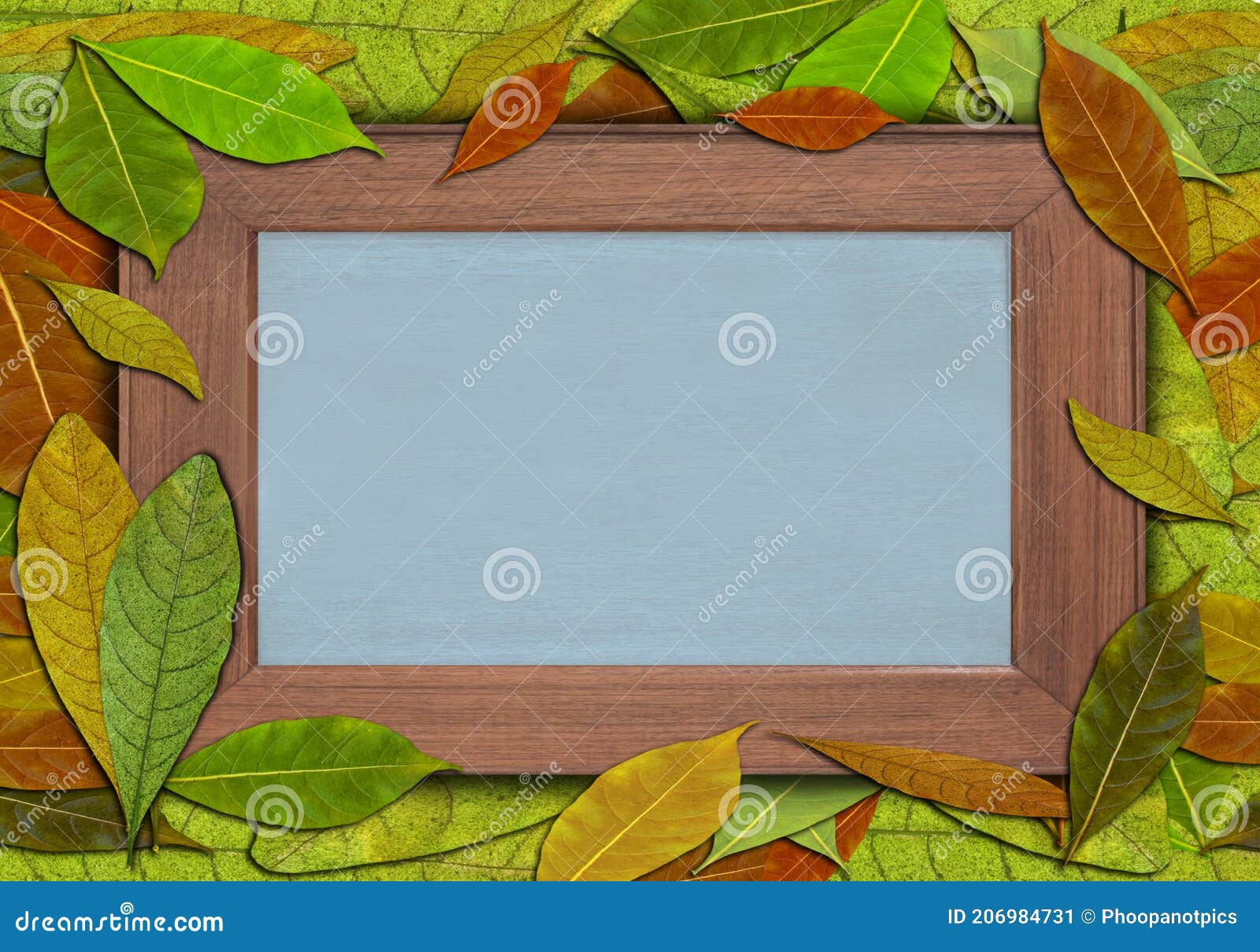 Wooden Frame with Beautiful Leaves Stock Image - Image of agriculture ...