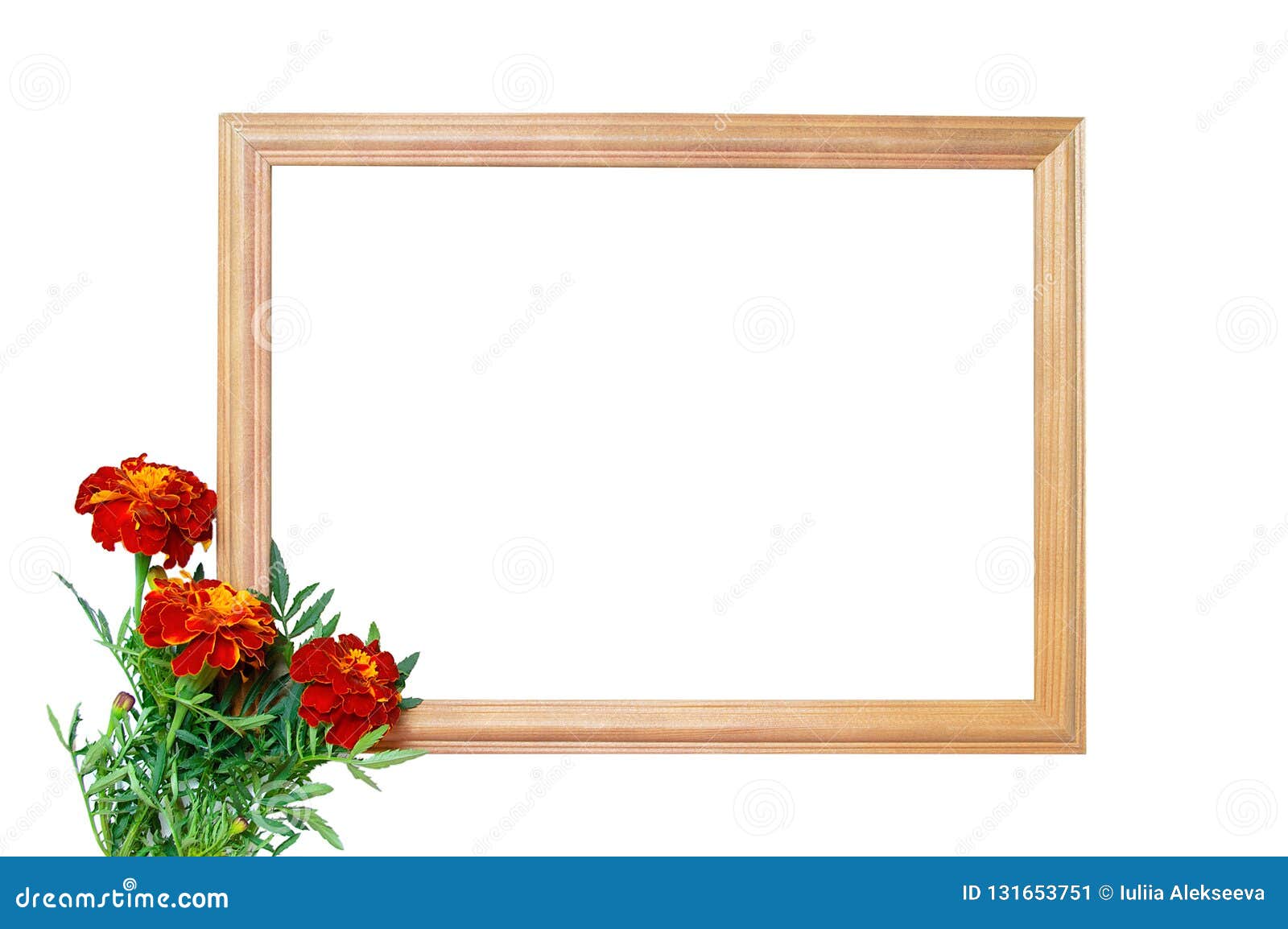 Wooden Frame and Bouquet of Flowers Marigolds. Isolate Stock Image ... Wooden Frame and Bouquet of Flowers Marigolds. Isolate Stock Image ...