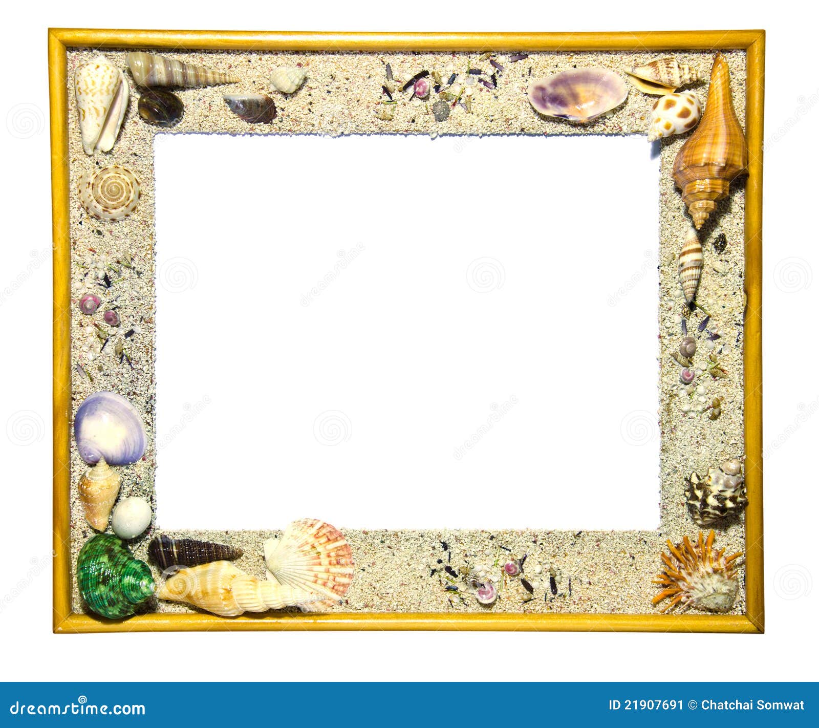 Wooden Frame Decorated with Shells. Stock Image - Image of portrait ...