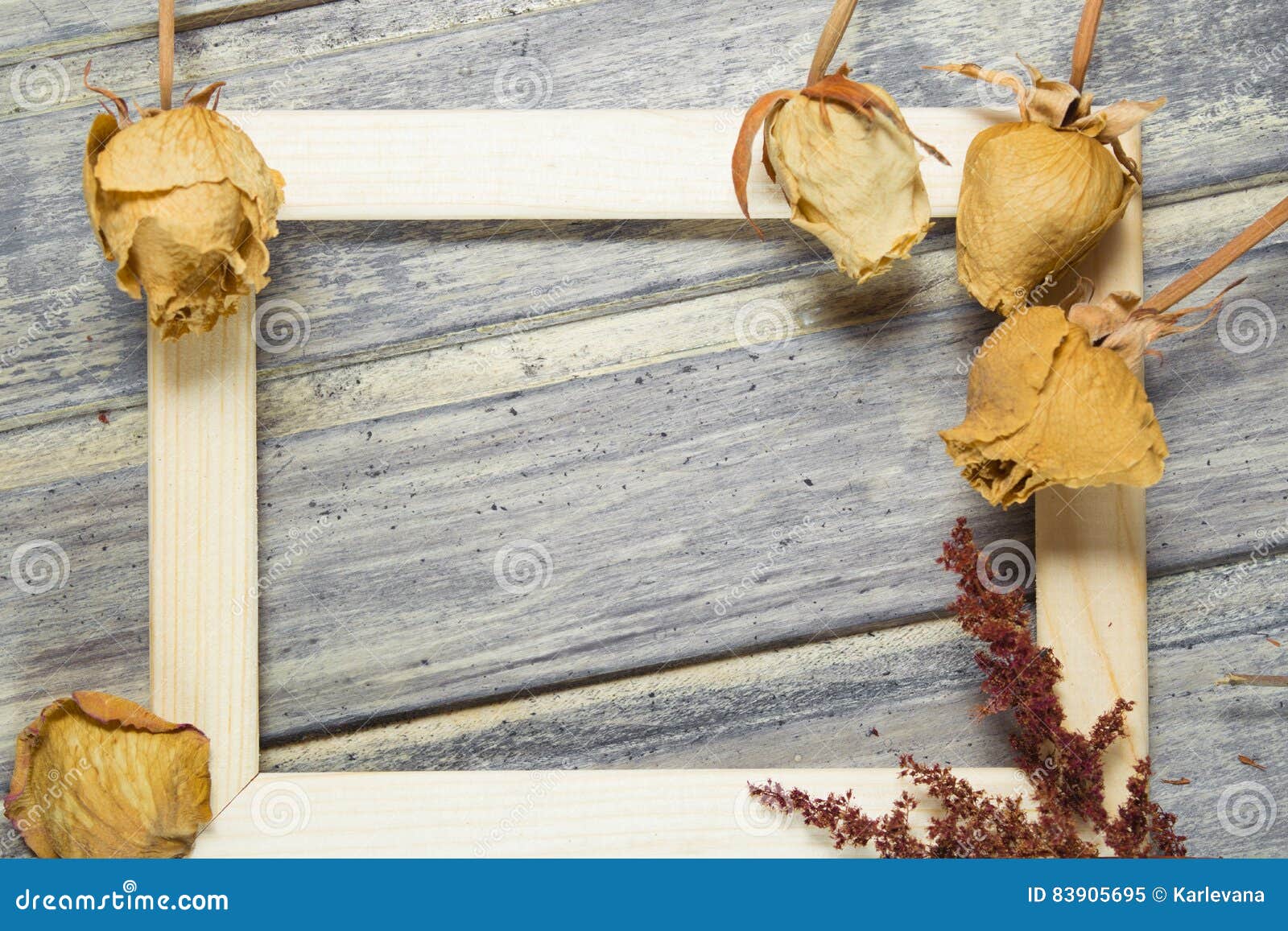 Wooden Frame with Dried White Roses Decoration Stock Image - Image of ...