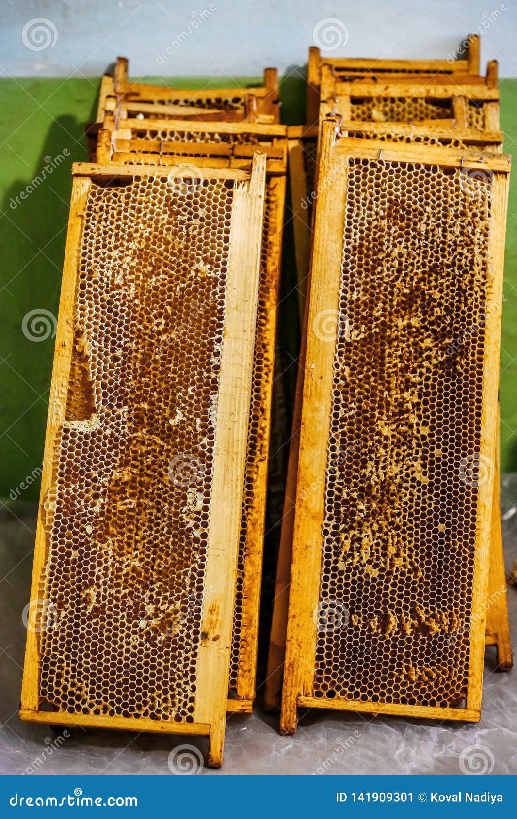 Wooden Frames with Honey in a Box. Beeekeeping Concept. Beekeeper ...
