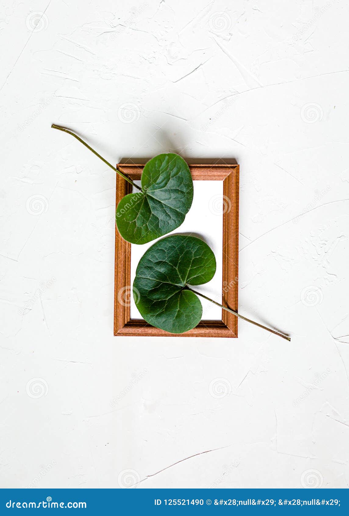 Wooden Framework,green Leaf on White, Top View Stock Photo - Image of ...