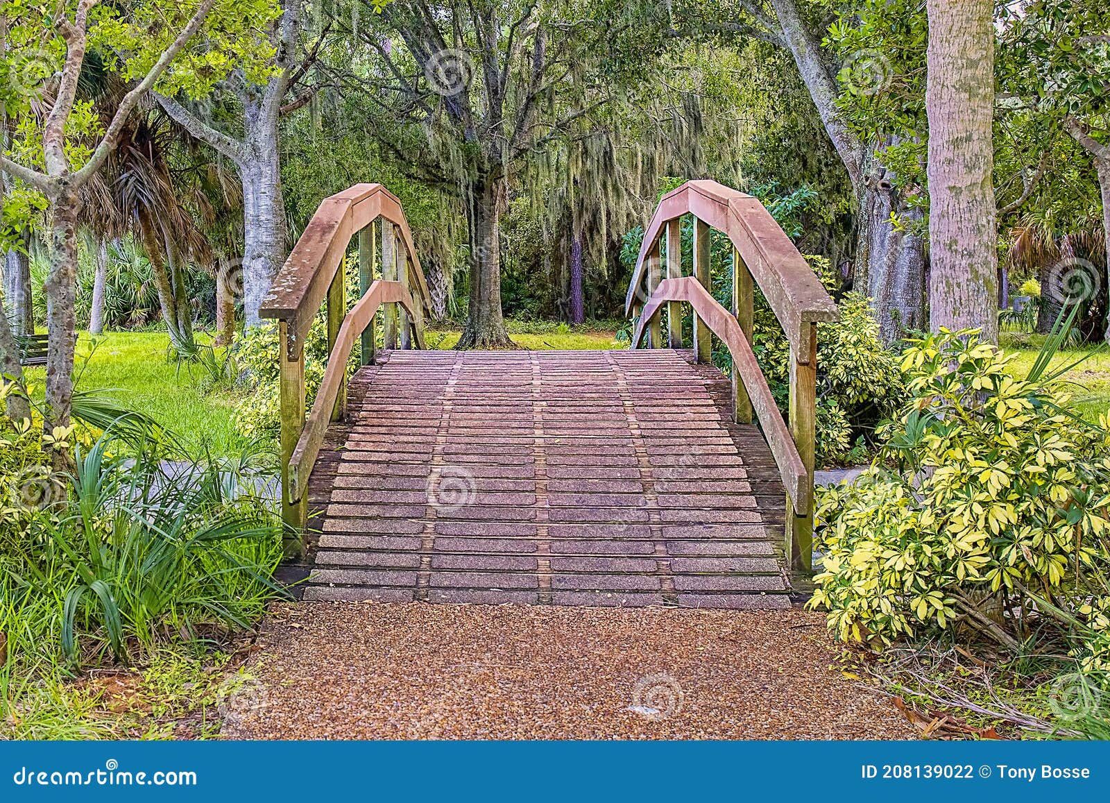 A Park Setting In South East Queensland Royalty-Free Stock Image ...