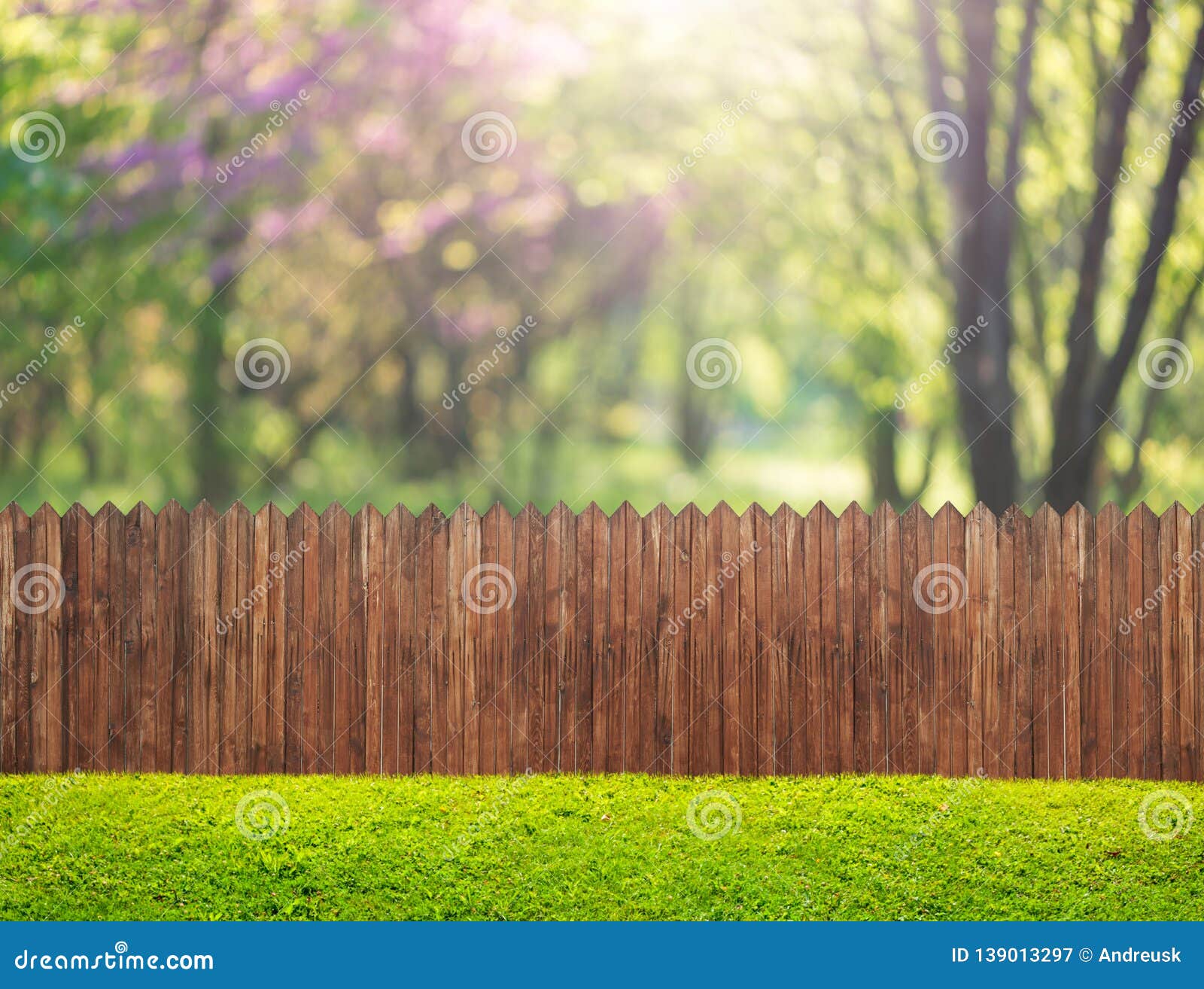 A Wooden Garden Fence at Backyard and Bloom Tree in Spring Stock Image ...