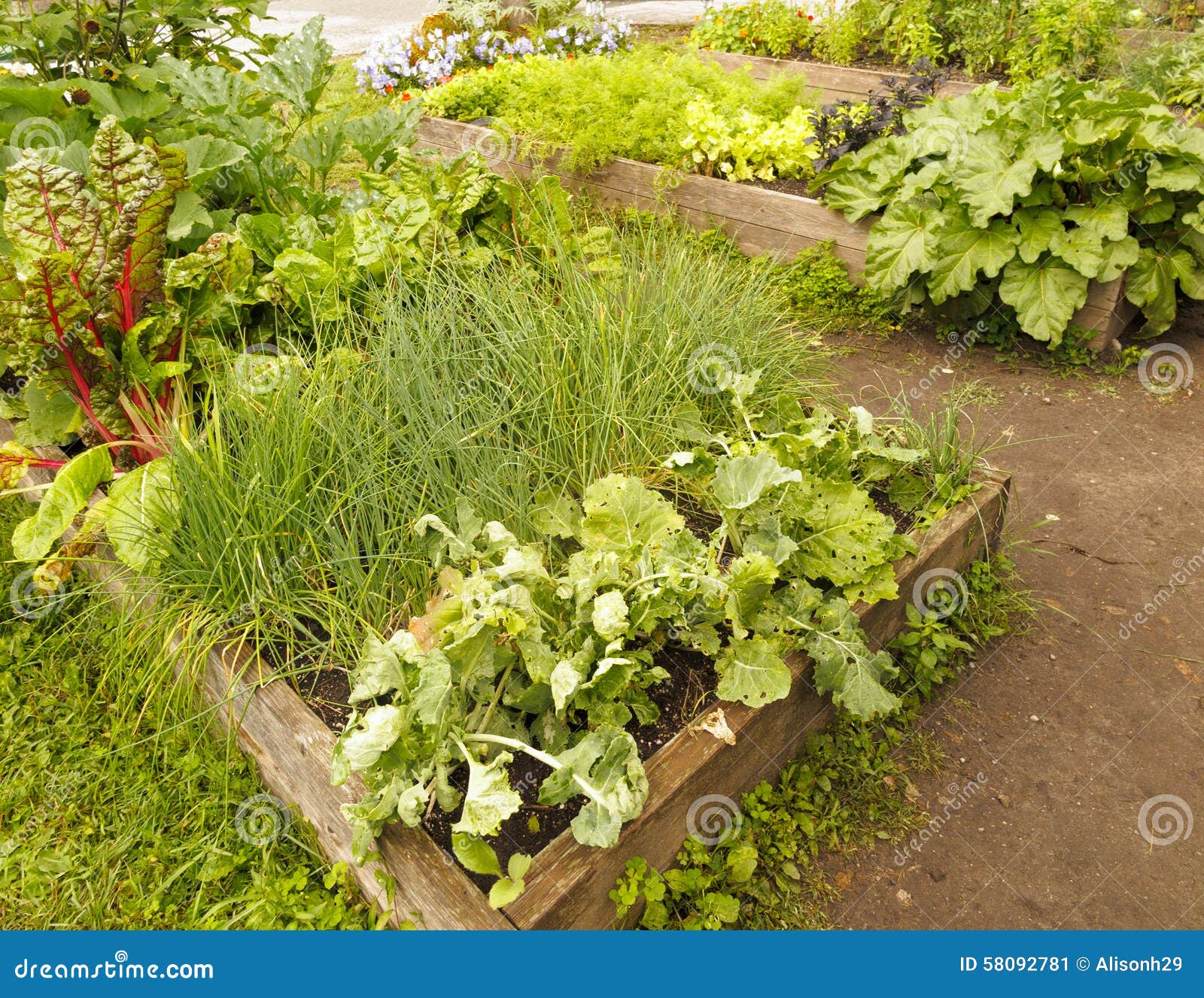 Wooden garden frames stock image. Image of frame, wood - 58092781